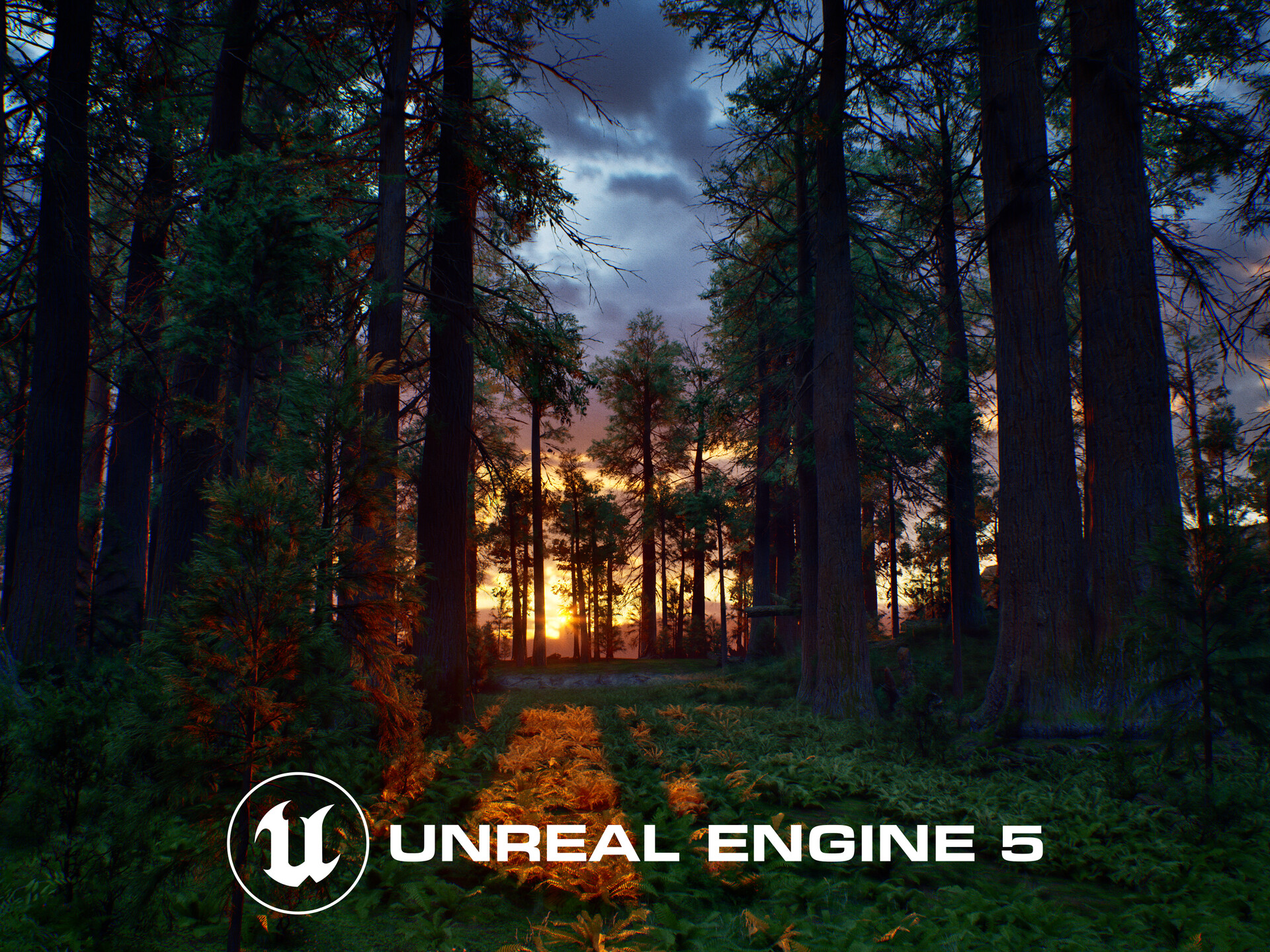 ArtStation - Forest Lighting Practice UE5 Real Time