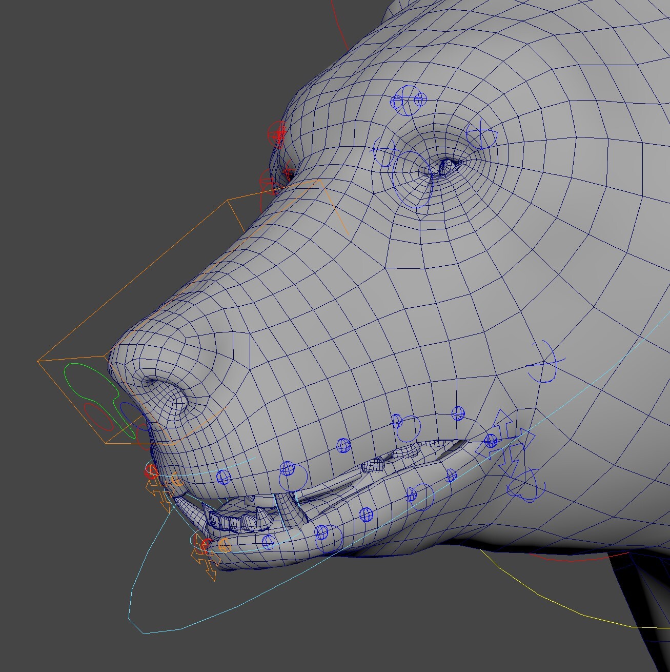 ArtStation - Facial Rig for animals