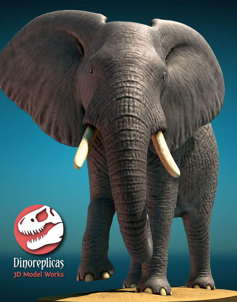 ArtStation - African Elephant