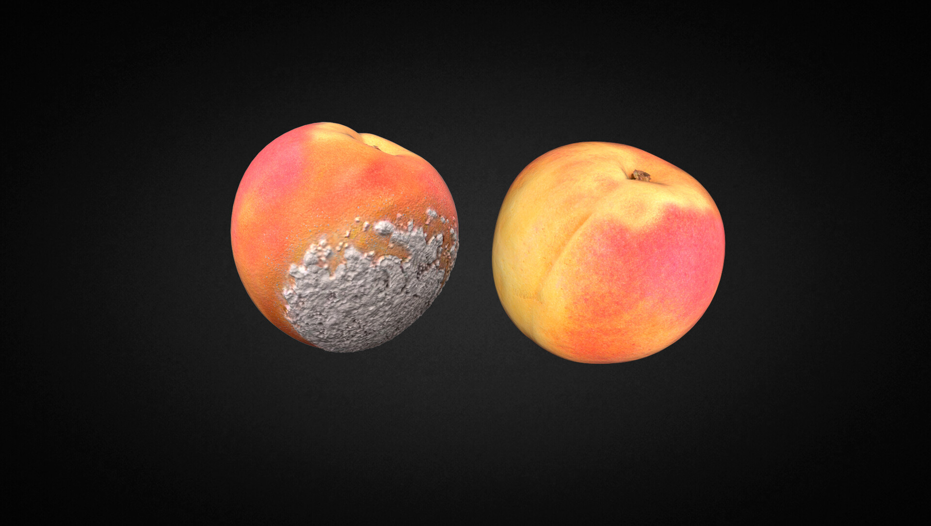 ArtStation - 3D Rotten Peach