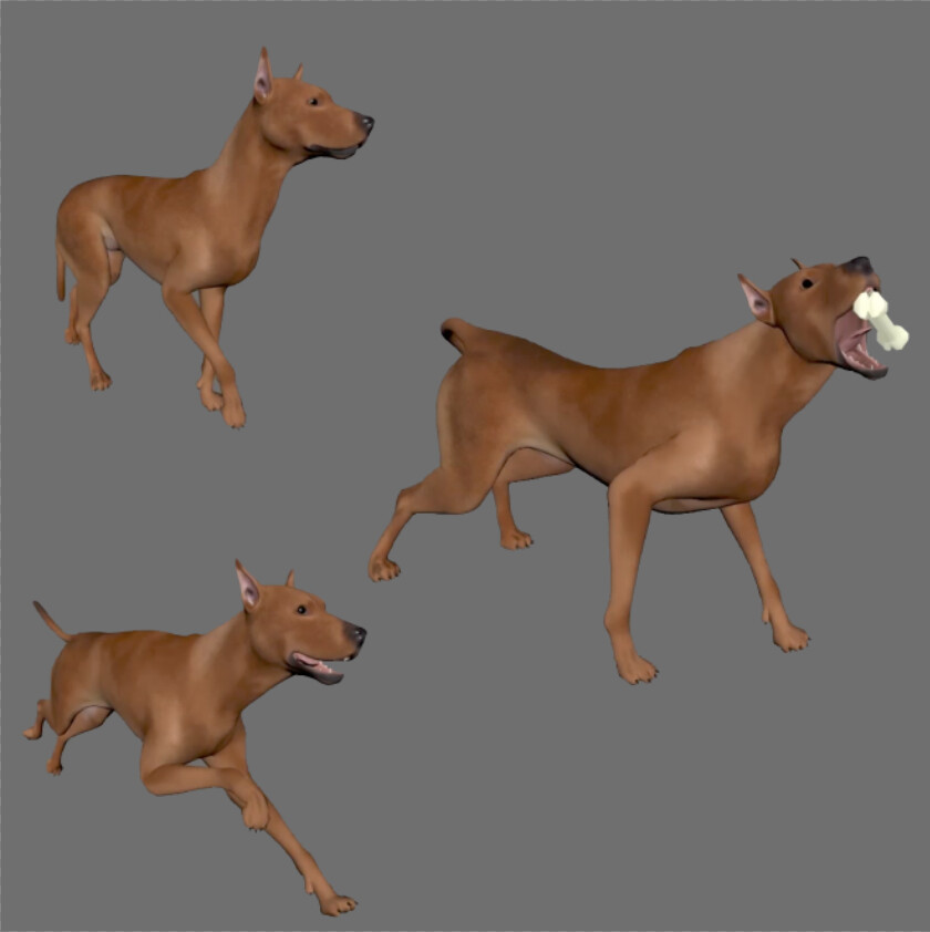 ArtStation - Dog animation