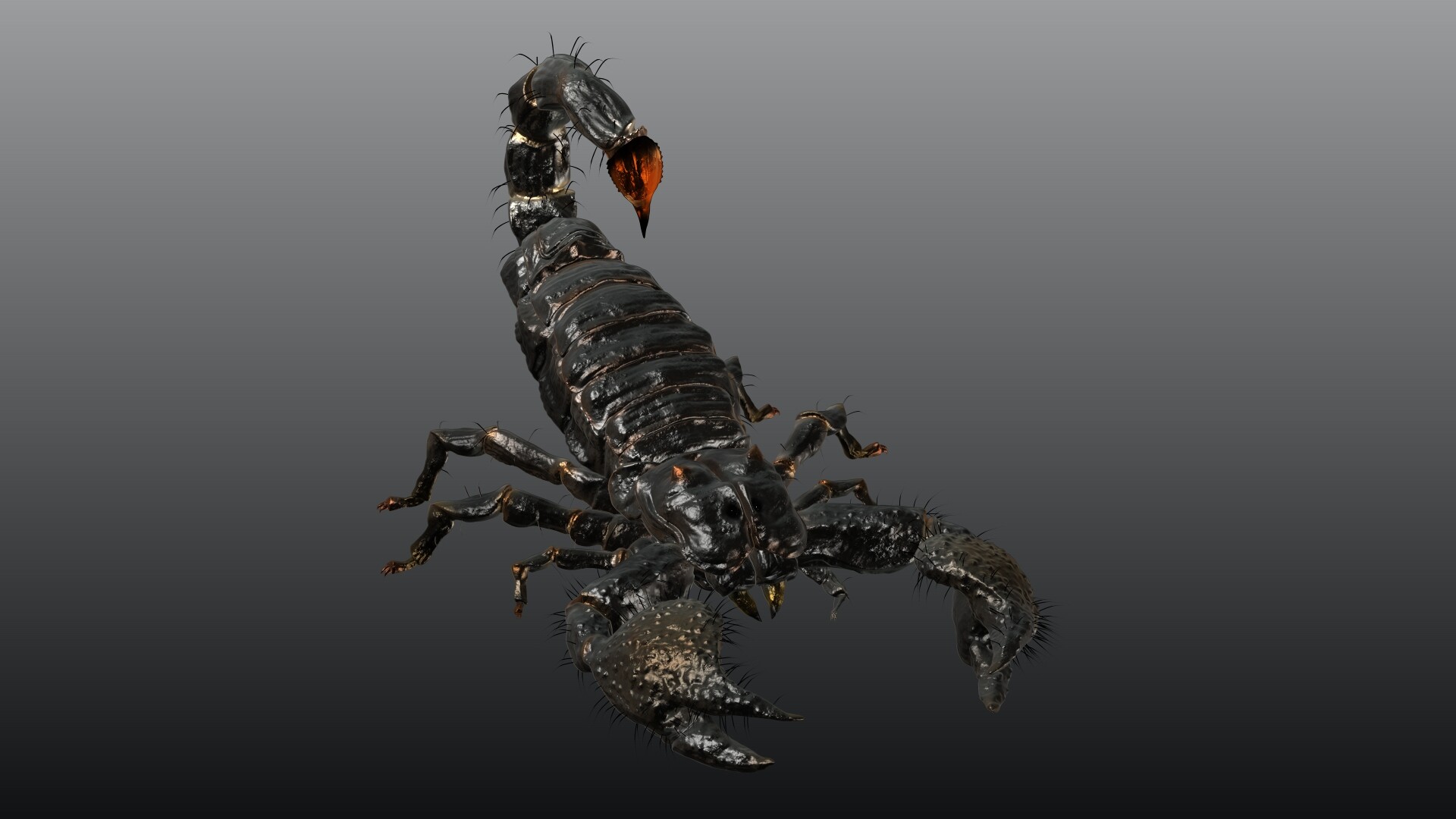 ArtStation - Scorpion