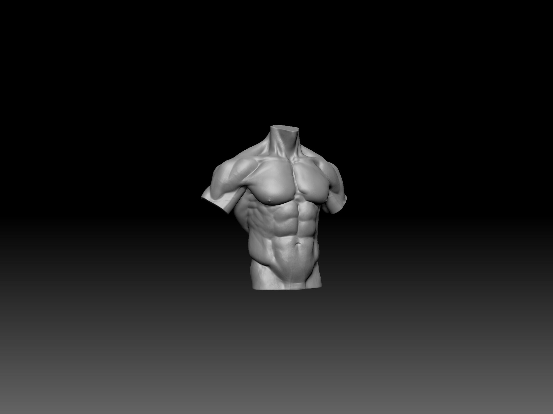 ArtStation - Male torso study