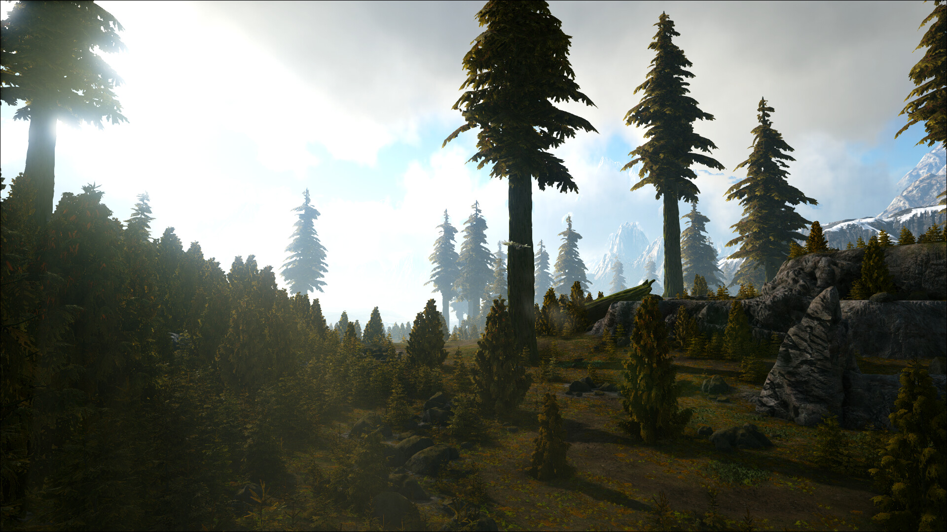 ArtStation - Alemia Project - Pine Forest