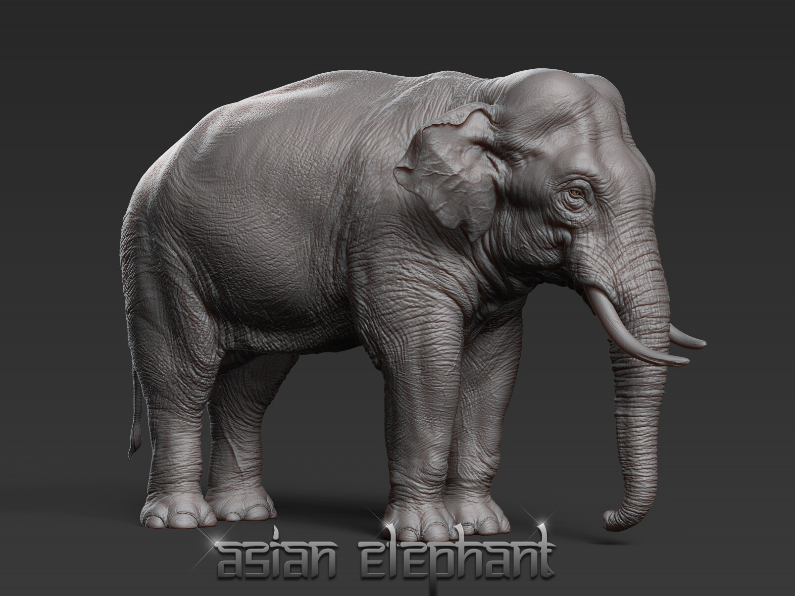 ArtStation - Asian Elephant