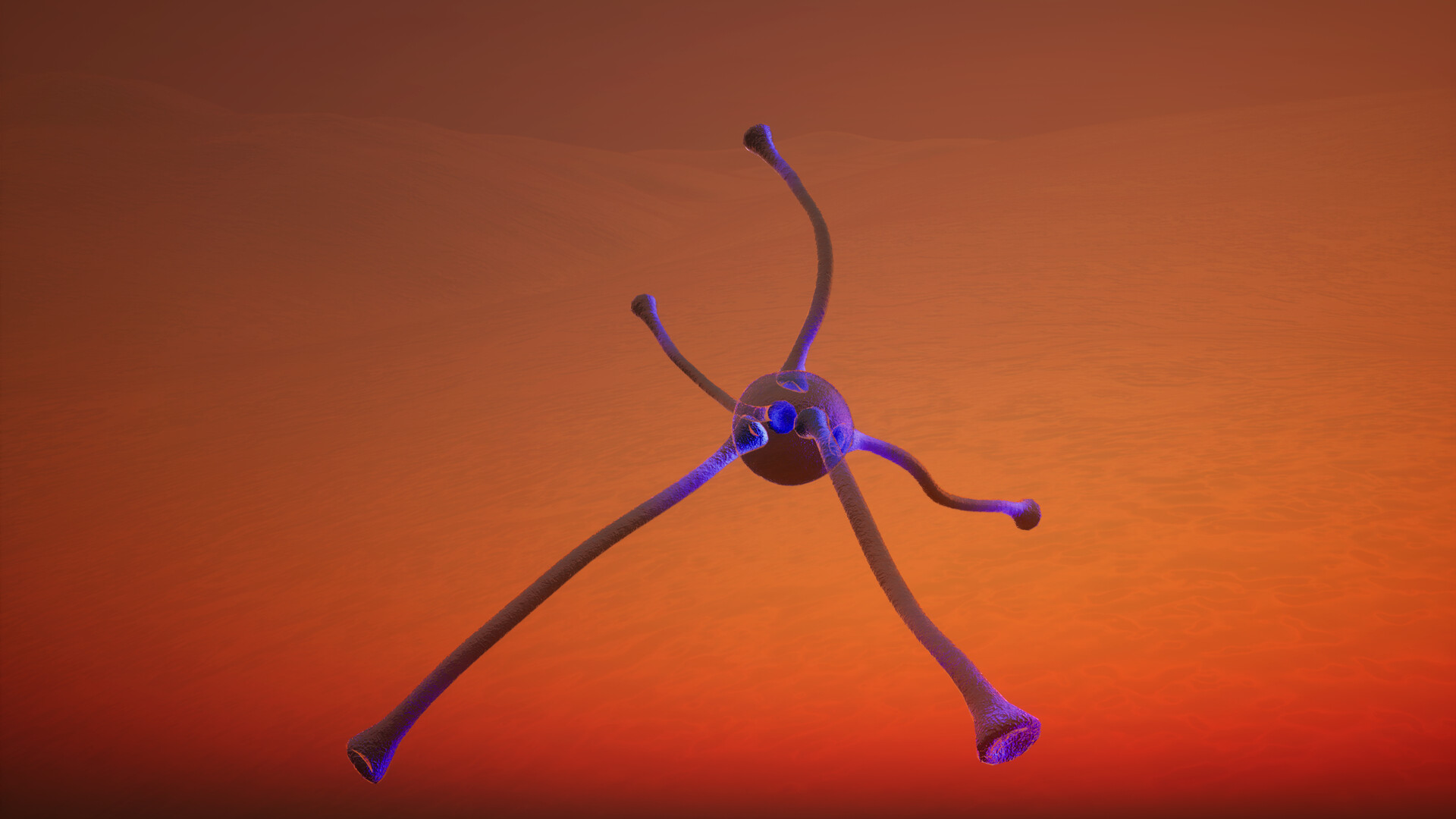 Isabel Roux - Proceso - Neurona