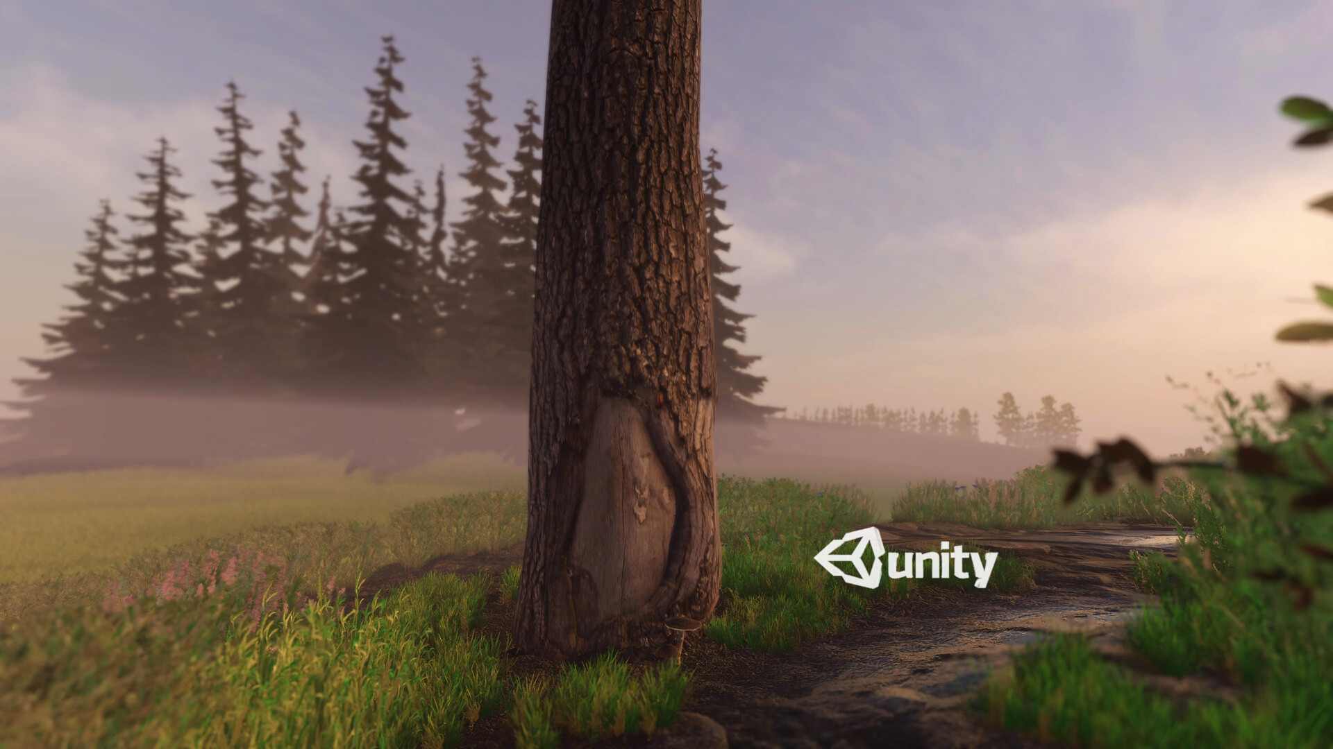 ArtStation - Oak in the field Unity