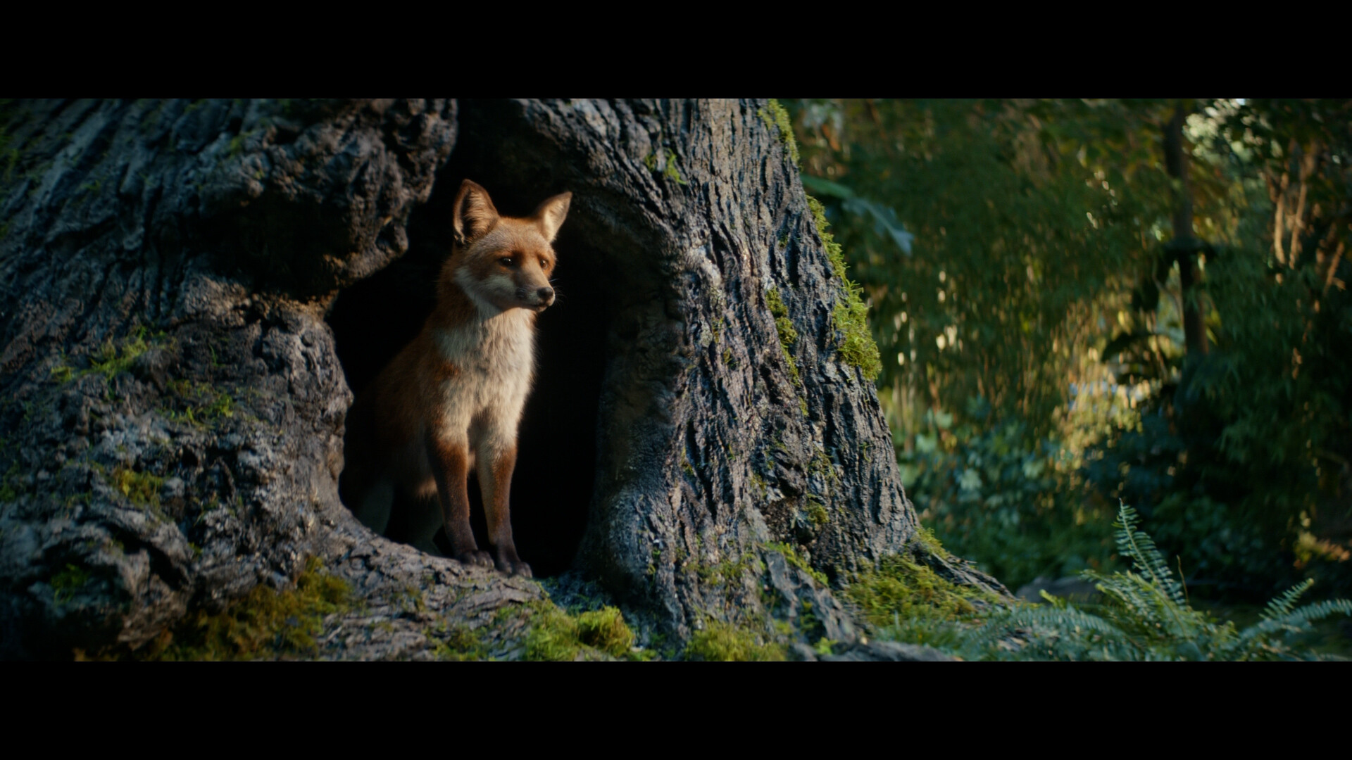 ArtStation - Fox - FritoLay - Push It