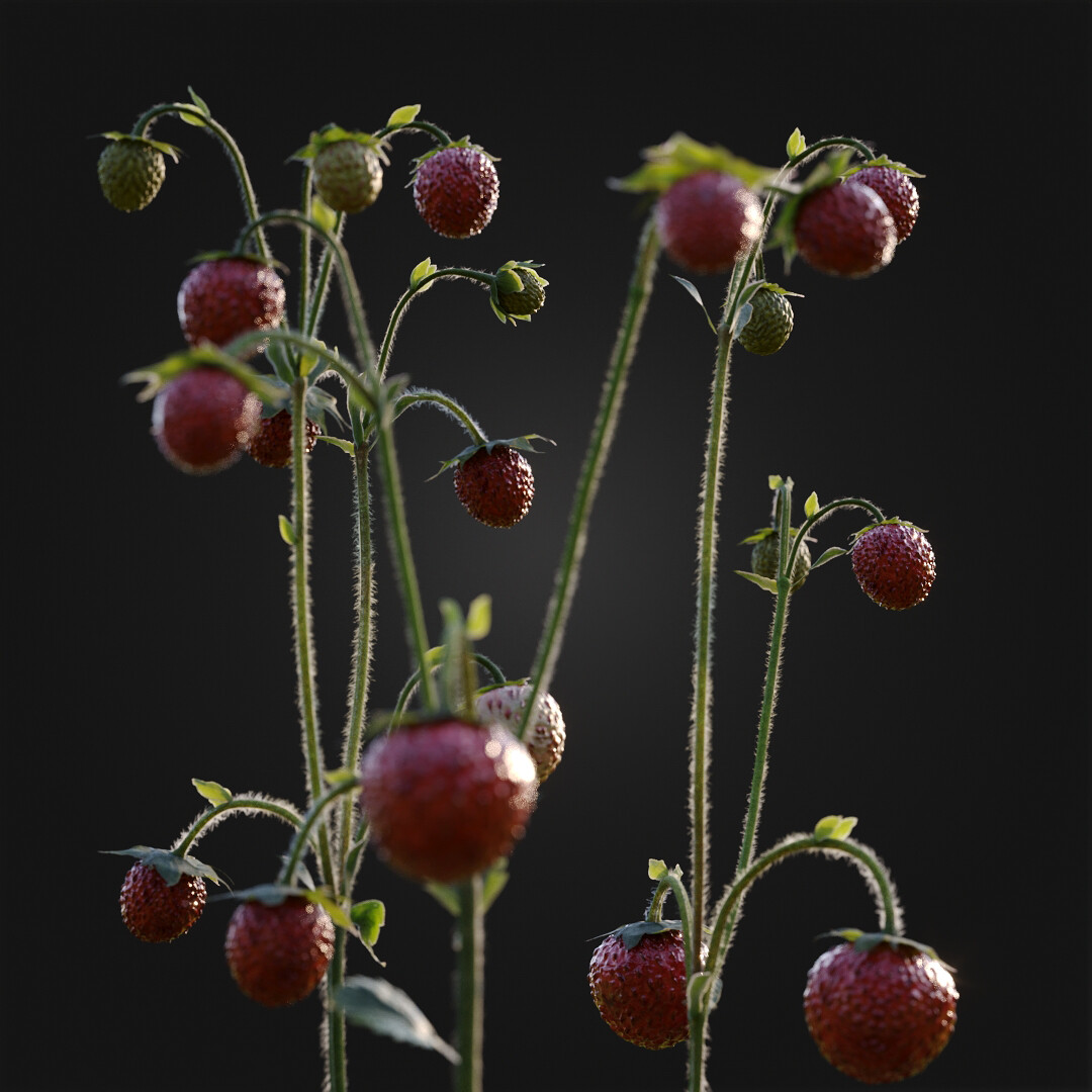 ArtStation - 3d plant release @textures.com