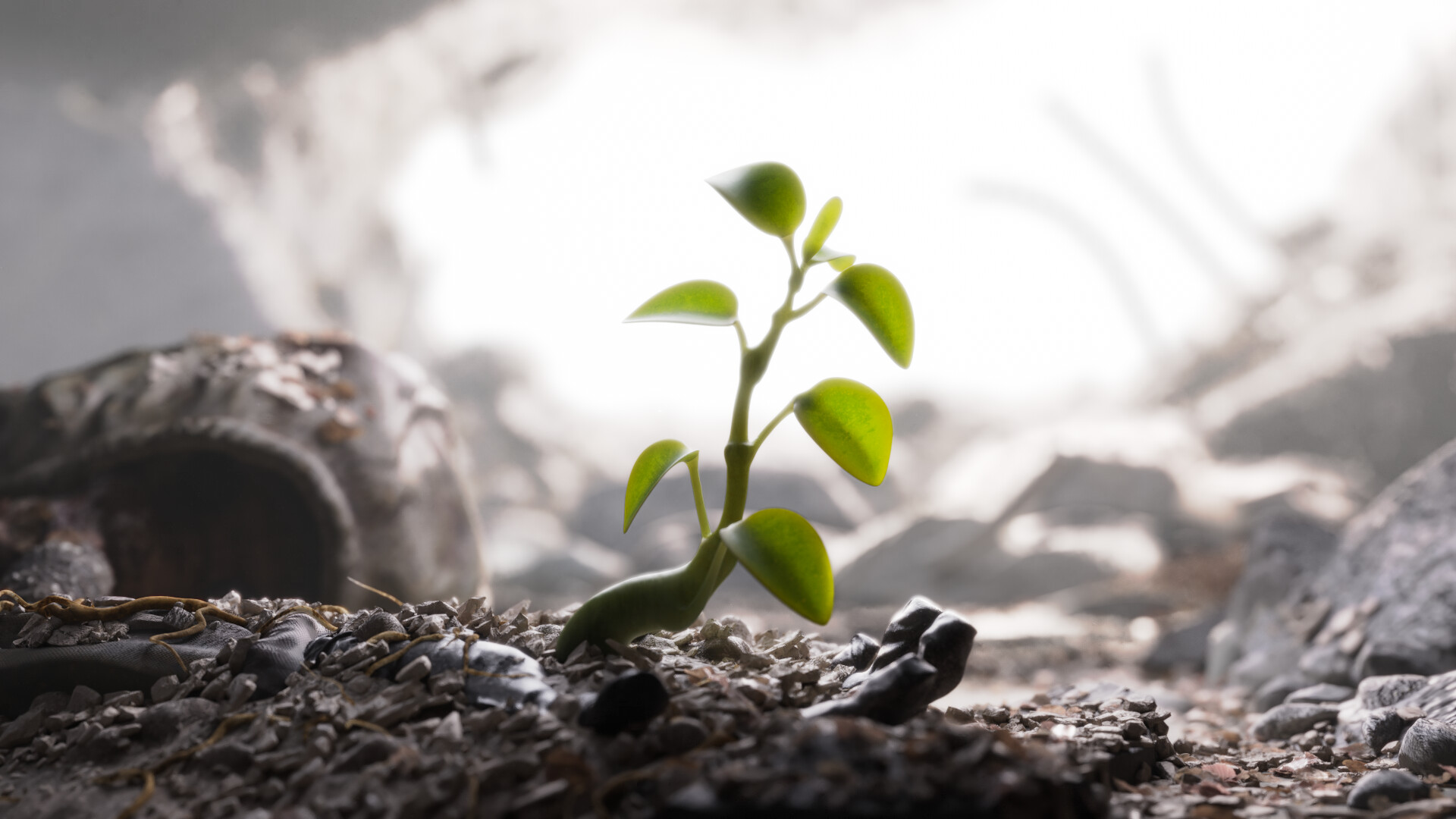 Elizabeth Kelly - Harbinger