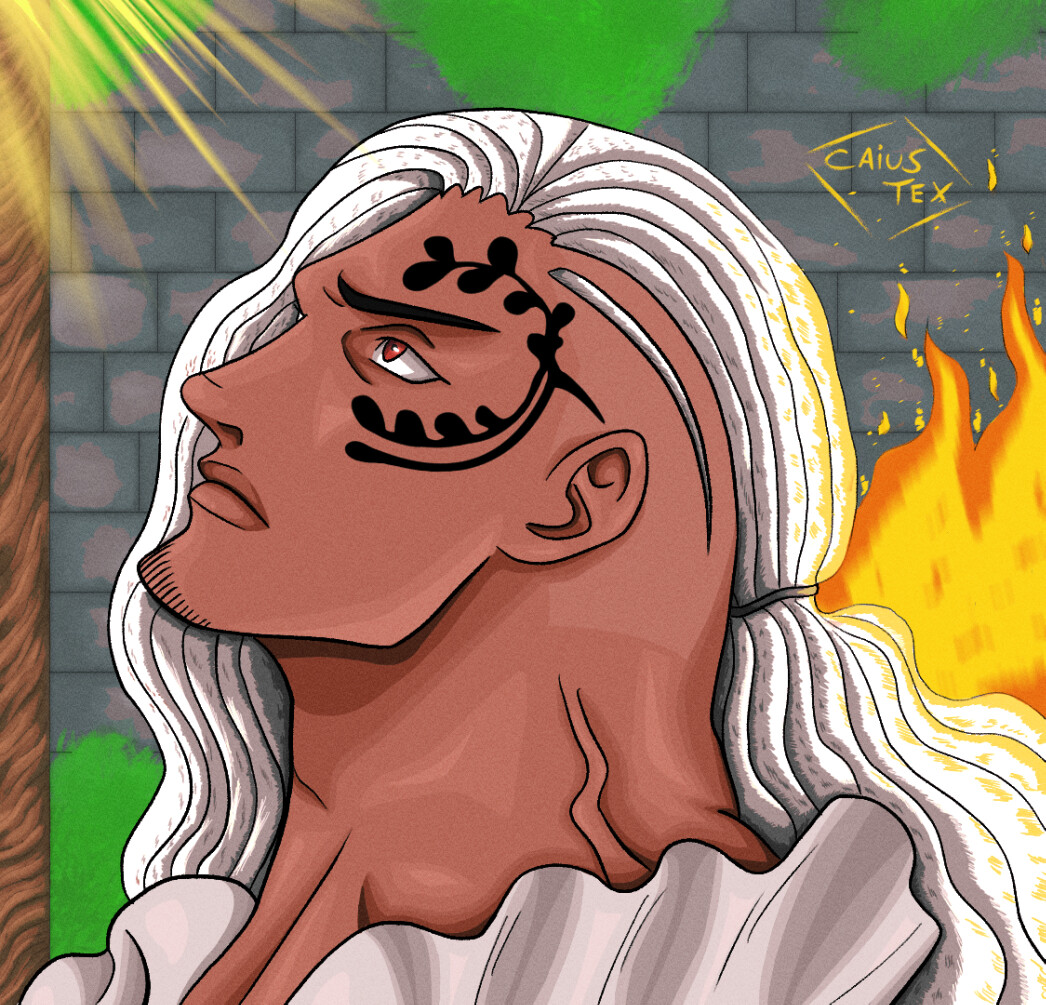 ArtStation - King - One piece mangá redraw