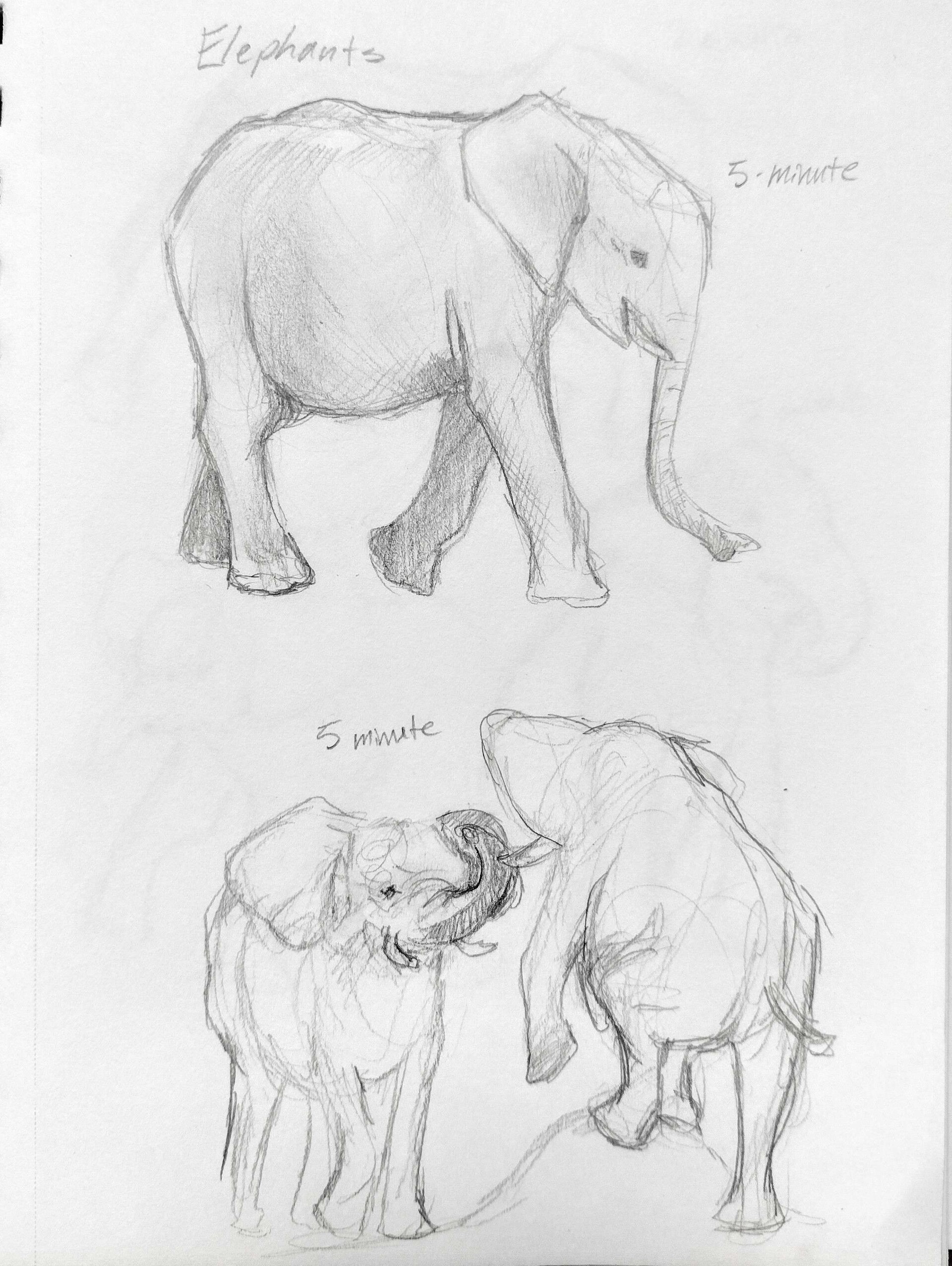 ArtStation - Elephants