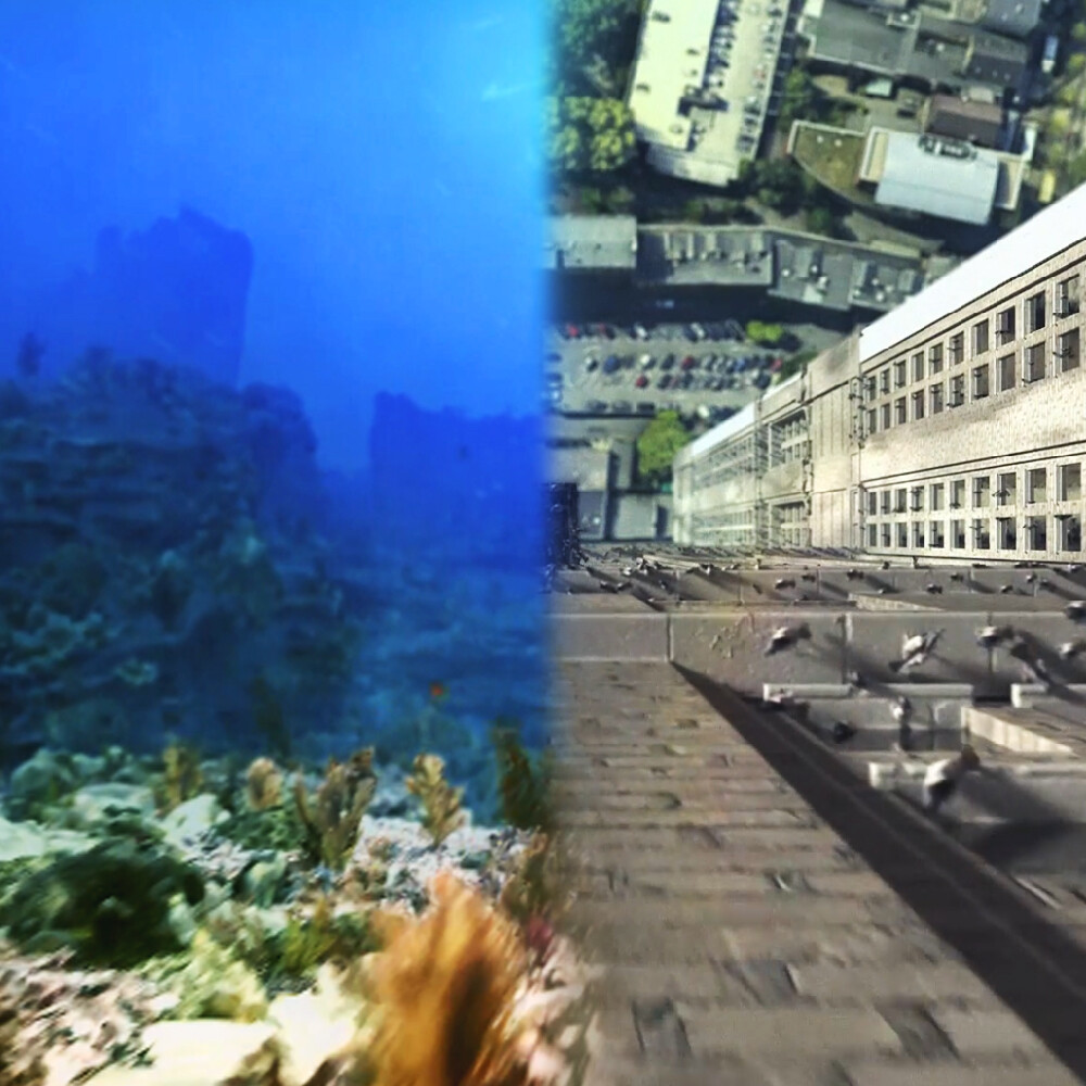 Jordan Potts - Group project 2022