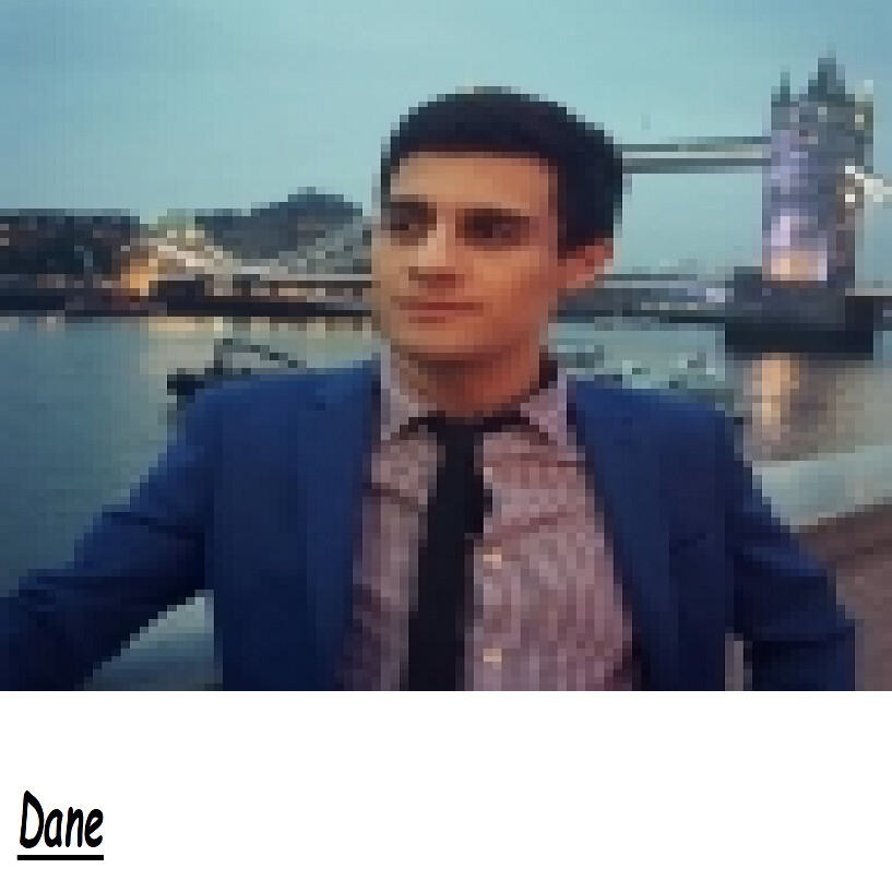 ArtStation - Dane's work