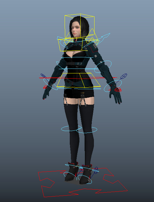 ArtStation - Custom Rig