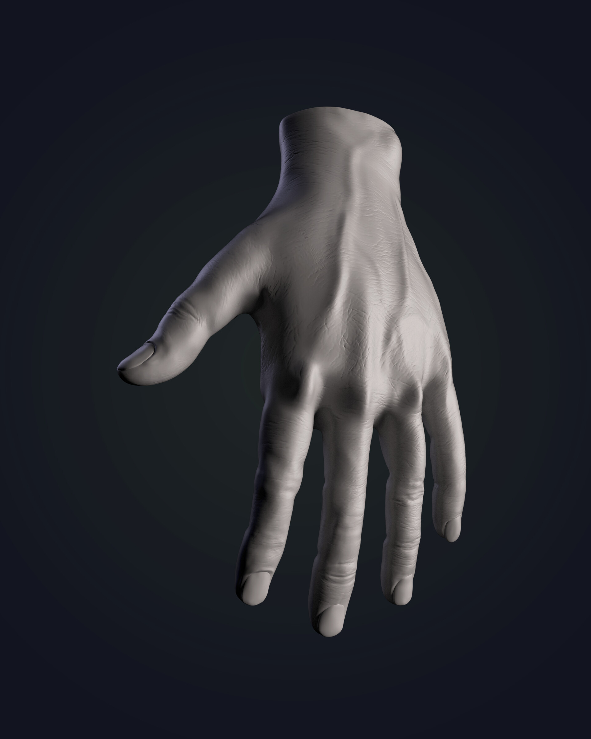 ArtStation - Anatomy Study: Hand