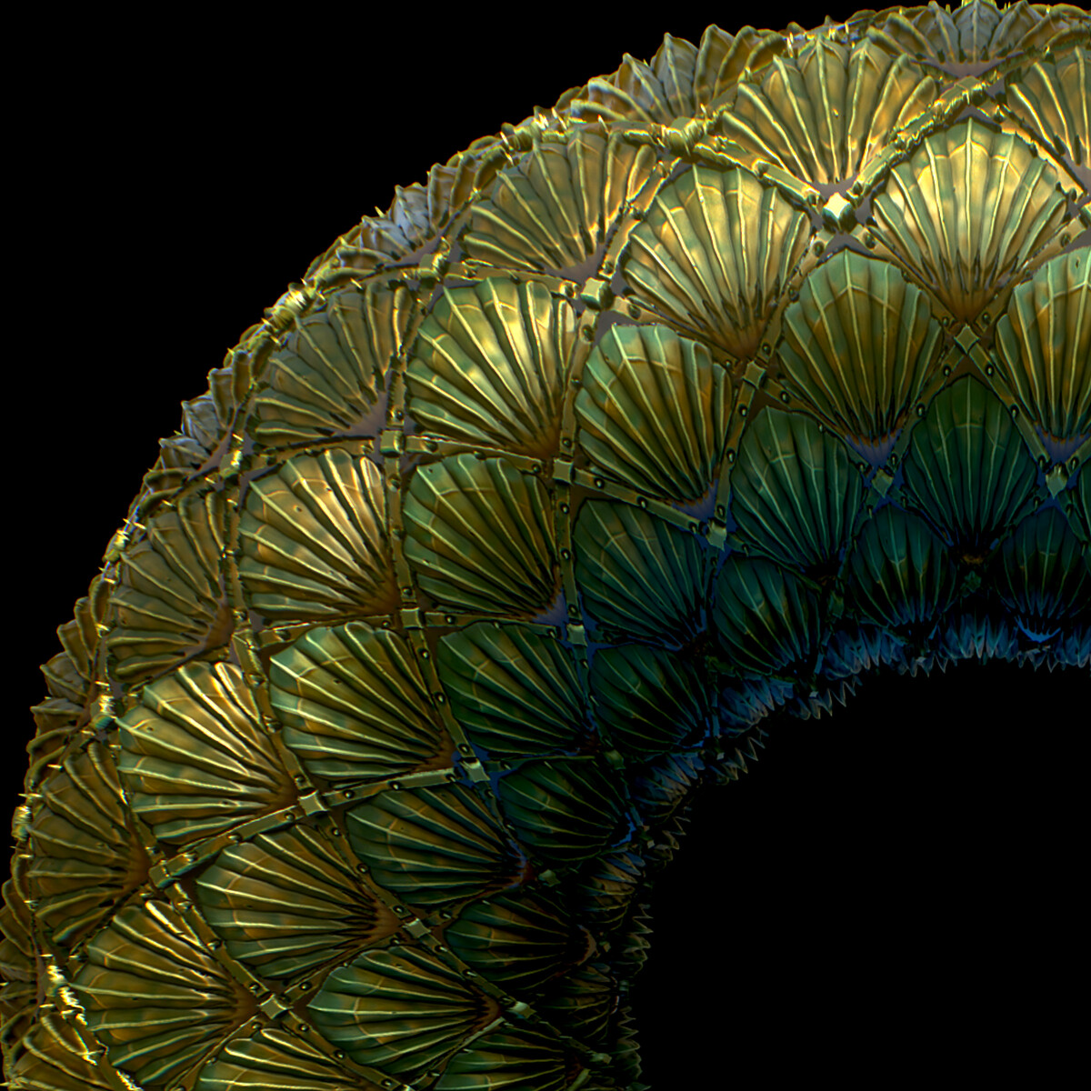 ArtStation - Bronze shells, SD experiments