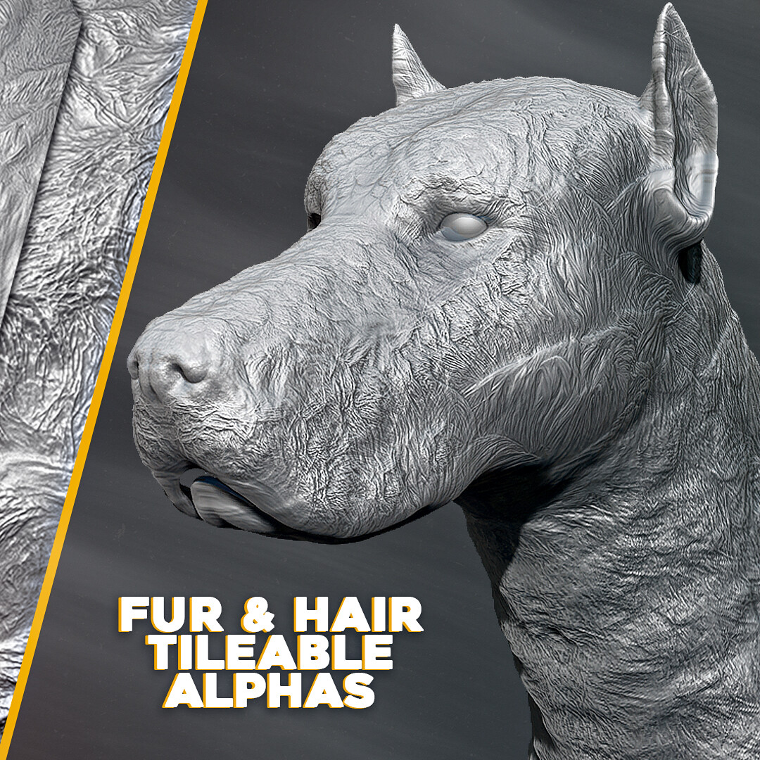 ArtStation - 31 Fur and Hair Alphas (Tileable, Displacement Map) vol.4 ...