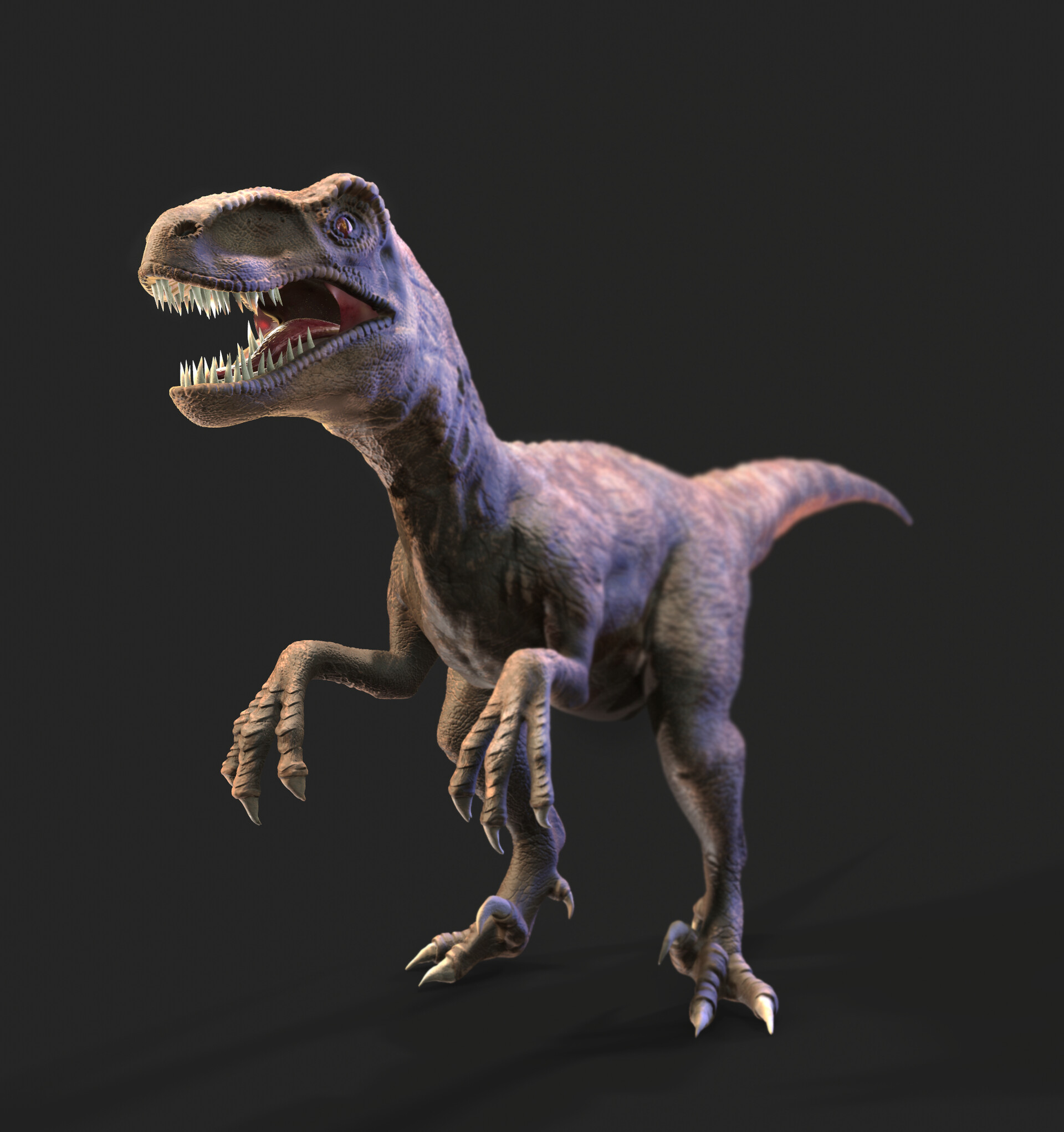 ArtStation - Velociraptor 3D Model