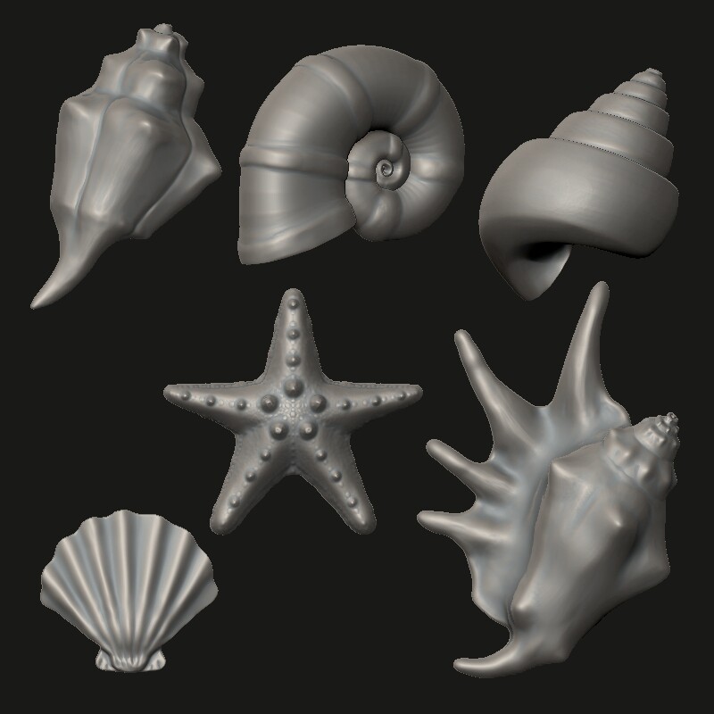 ArtStation - Sea Shells 1