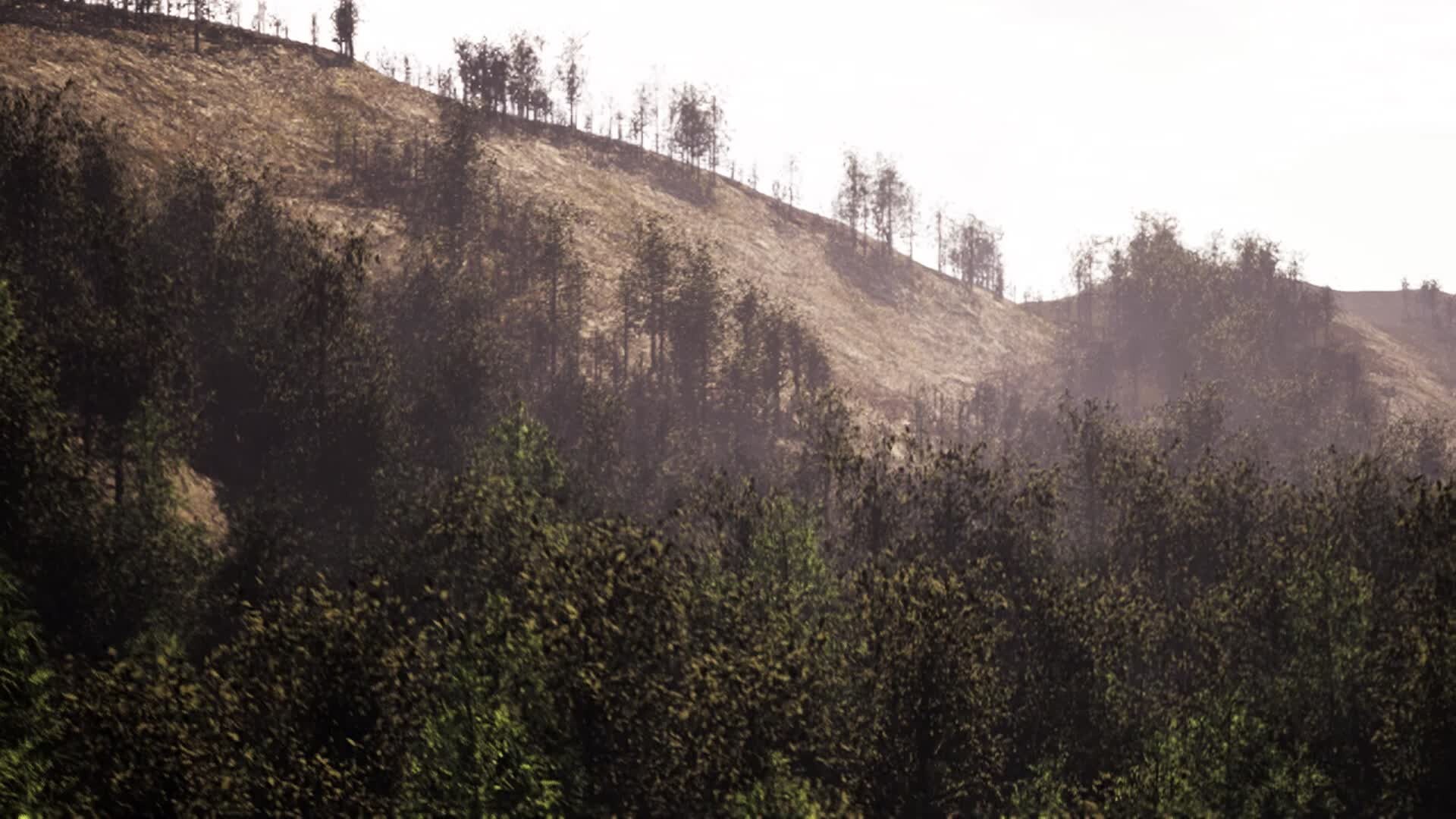 ArtStation - Foliage Work