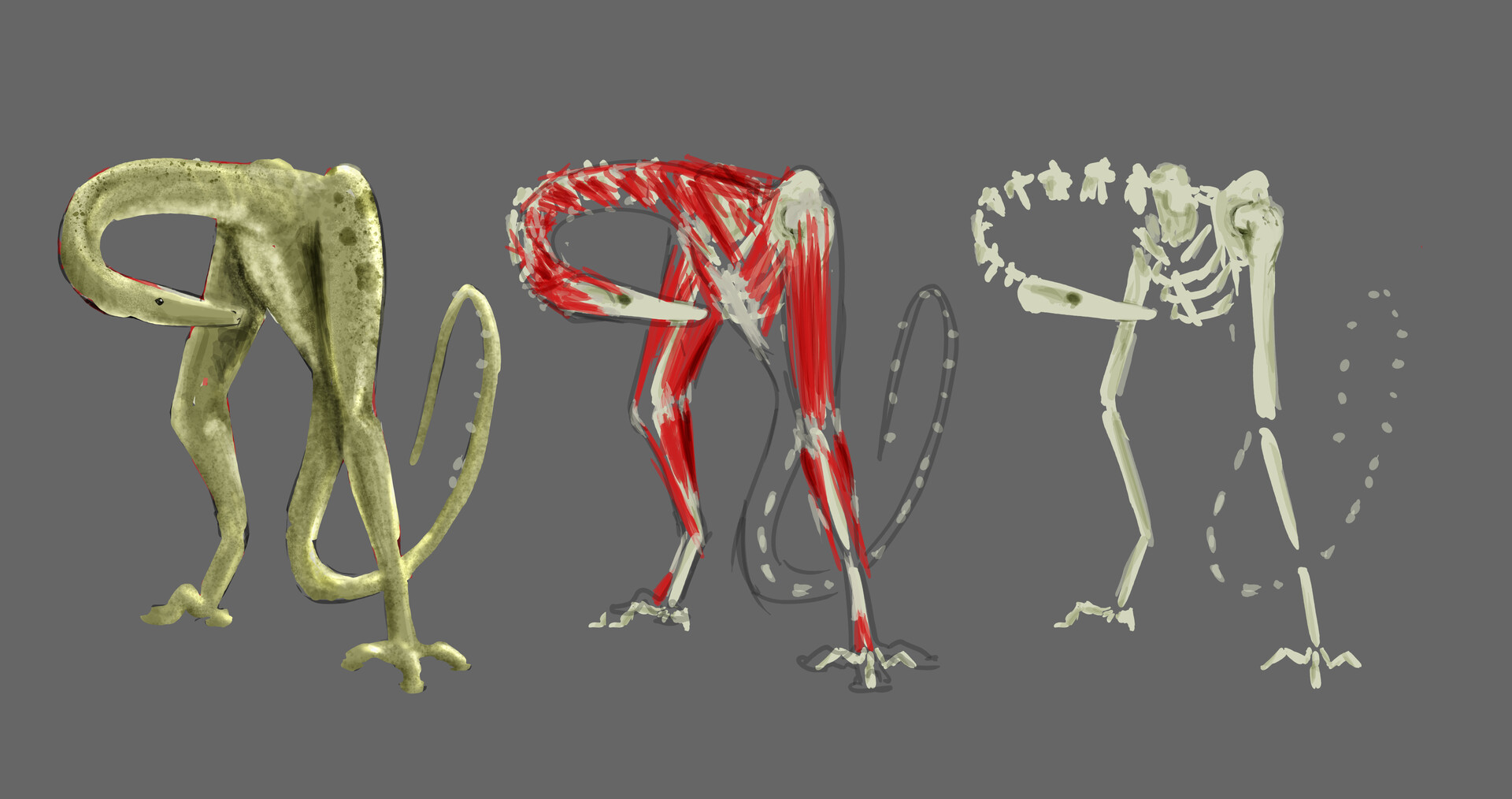 ArtStation - Alien Creature Concepting