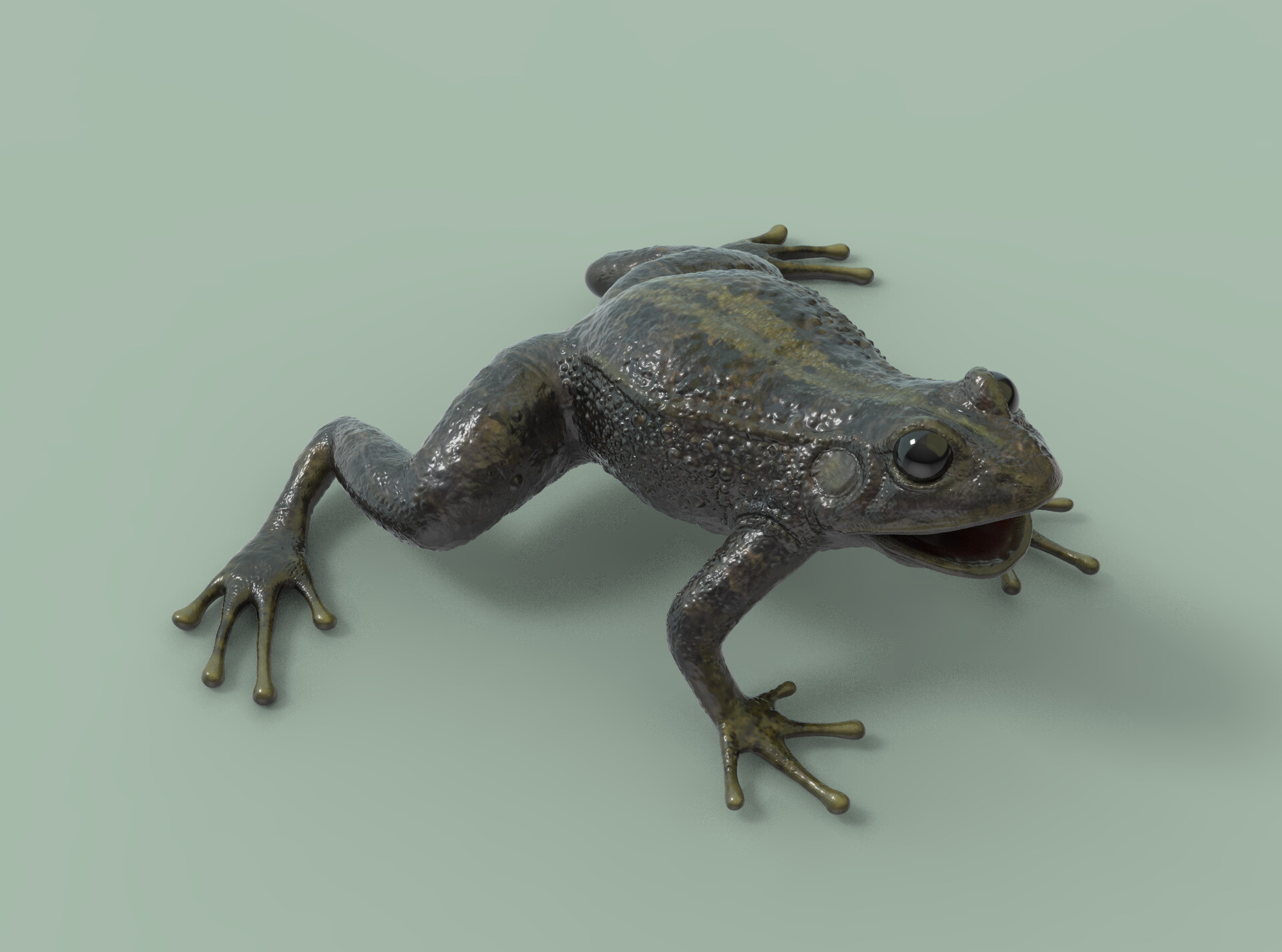 ArtStation - Realistic Frog