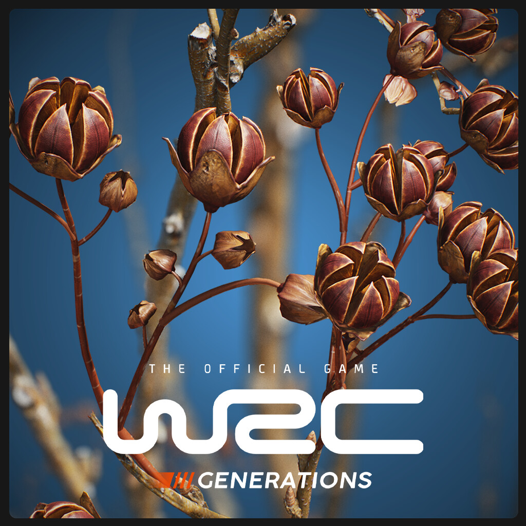 ArtStation - WRC - Generations Bush