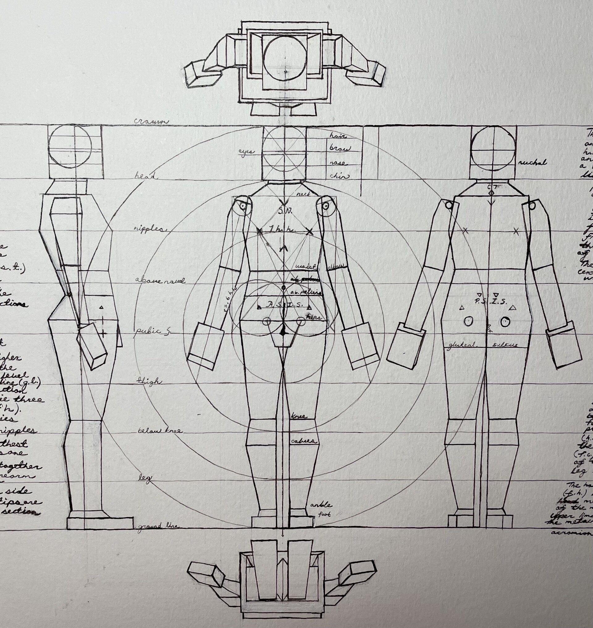 ArtStation - Anatomy Master Class: Term 1 (NMA)