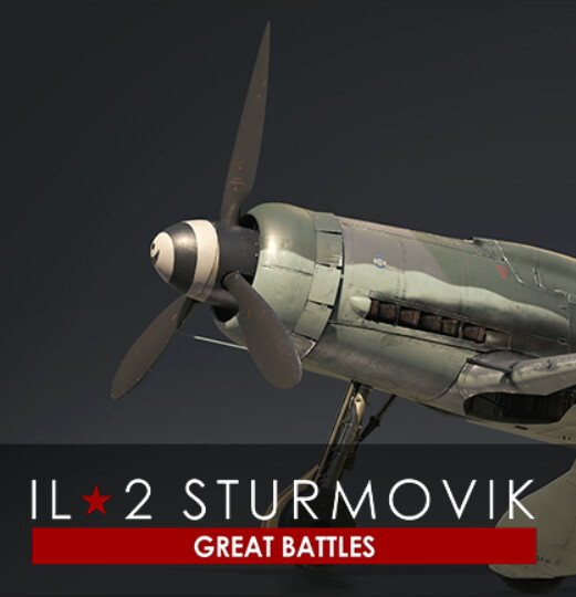 Philip Avdeyev - IL2: STURMOVIK - German Fighter Fw 190 D-9