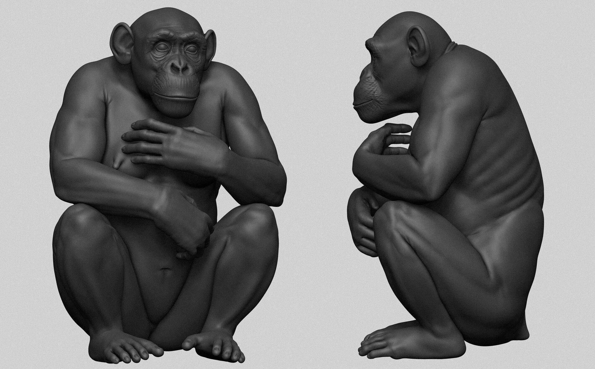 ArtStation - Chimpanzee WIP Sculpt
