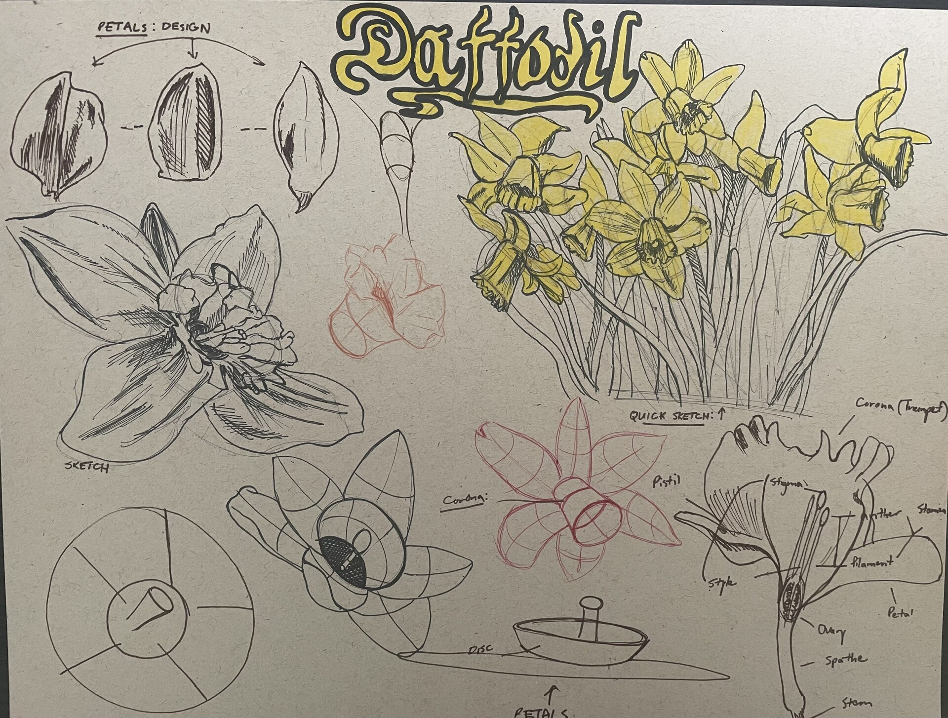 ArtStation - NMA Dynamic Sketching Week 8: Drawing Trees, Plants, and ...