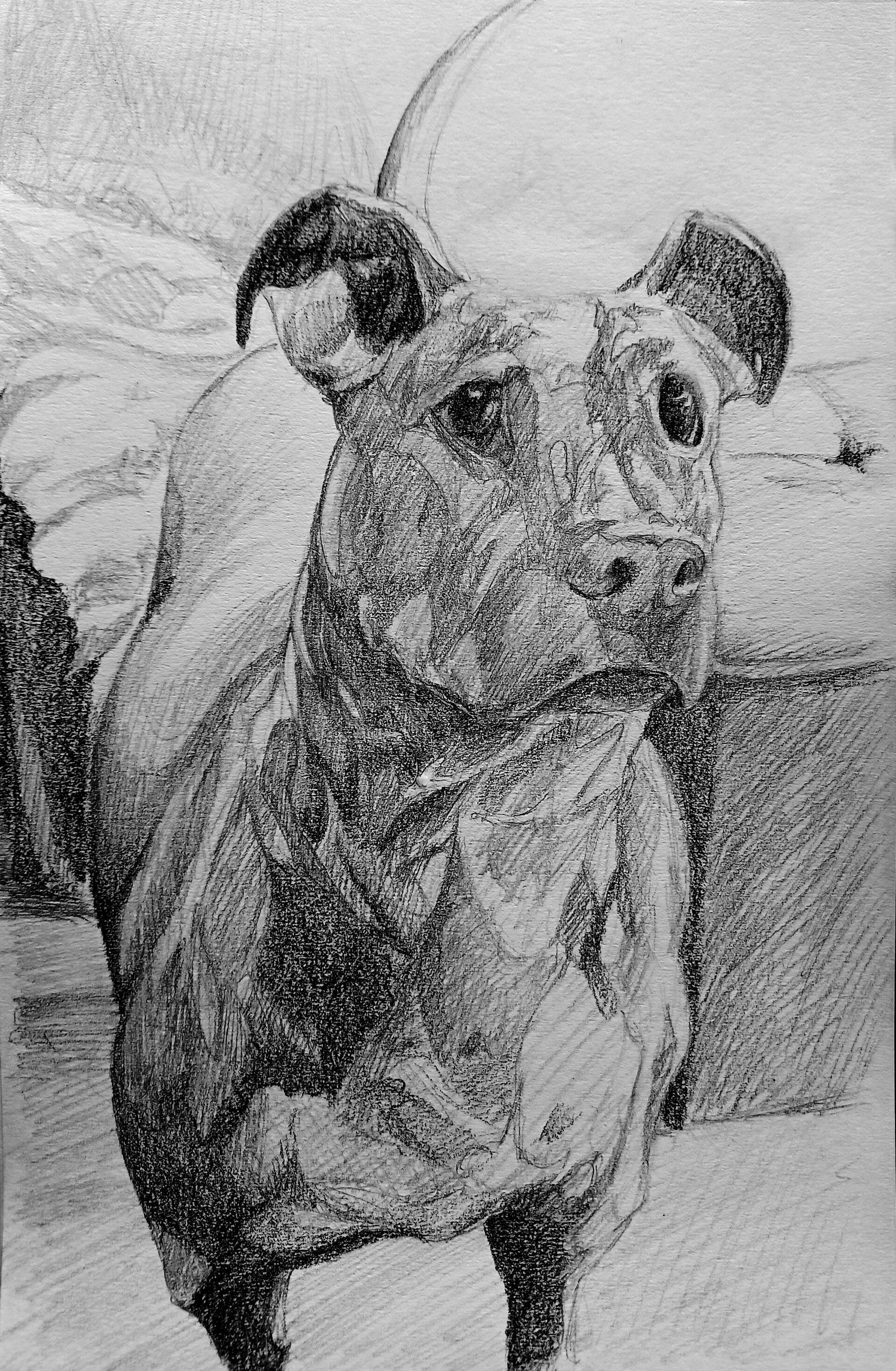 ArtStation - Pencil Sketchs