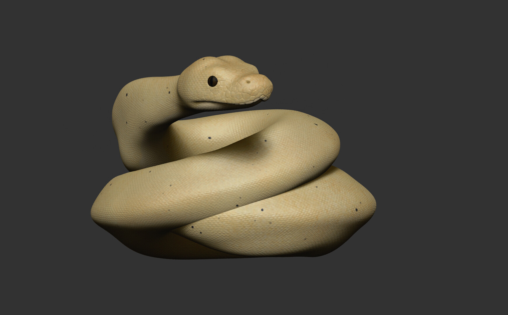 ArtStation - Ball Python