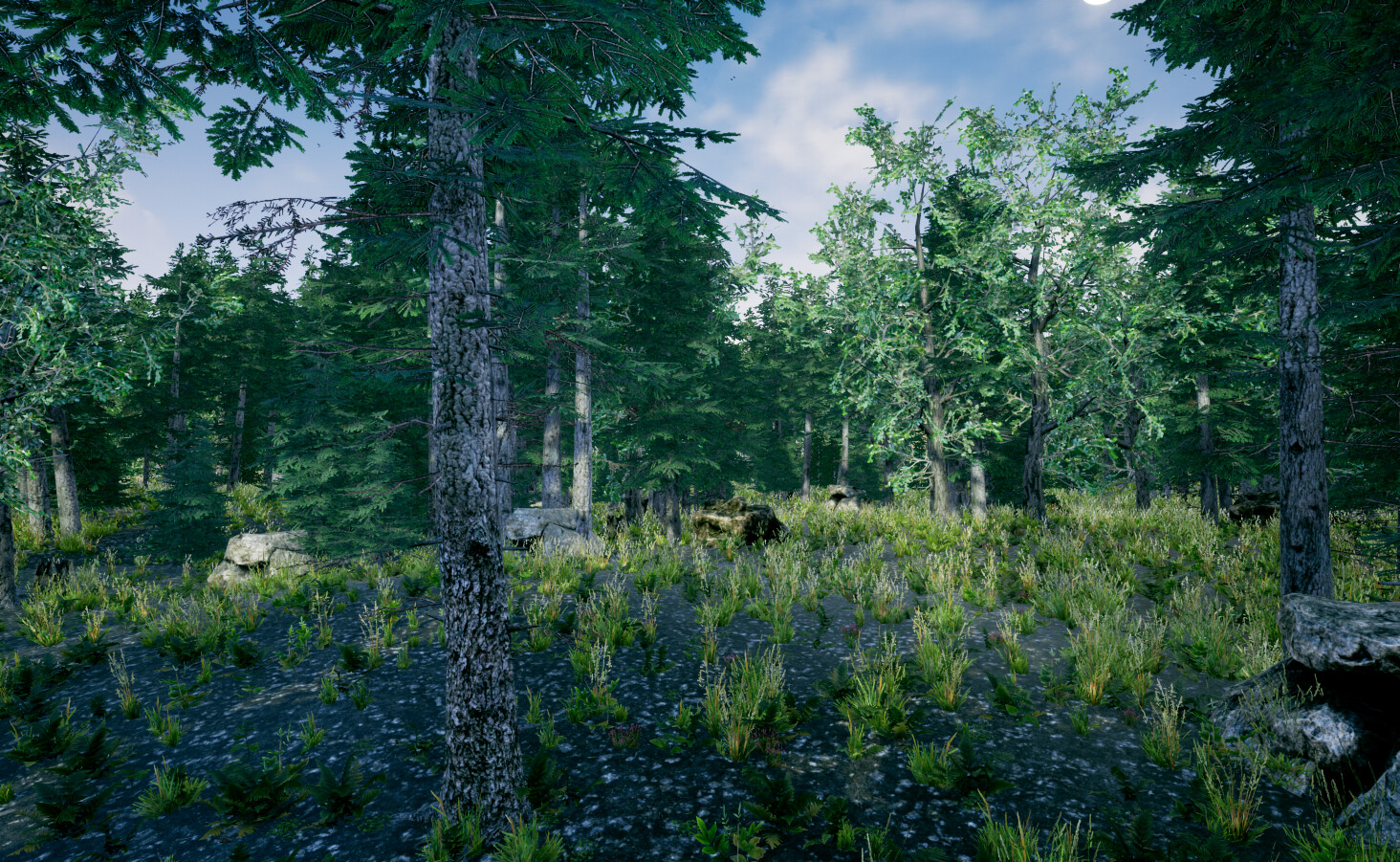 ArtStation - Forest Landscape Made in the Unreal Engine