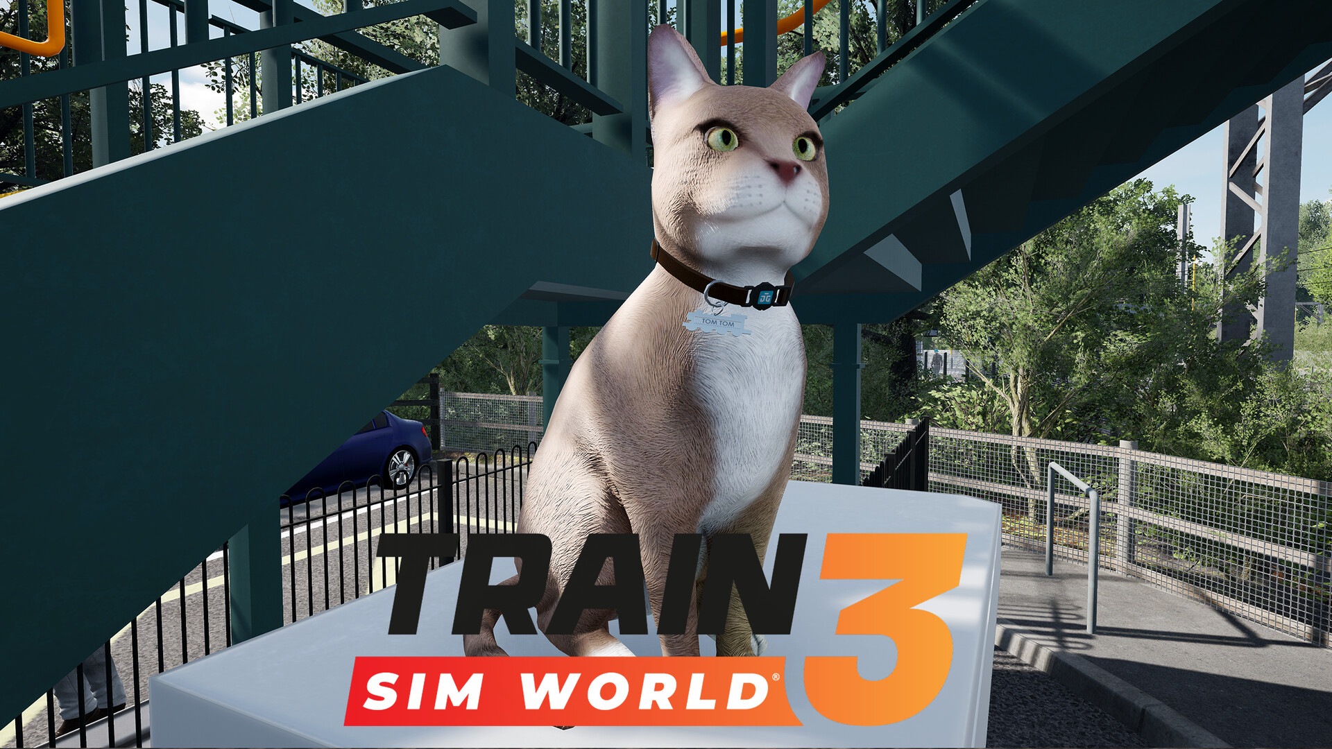 ArtStation - Train Sim World 3 - Cats
