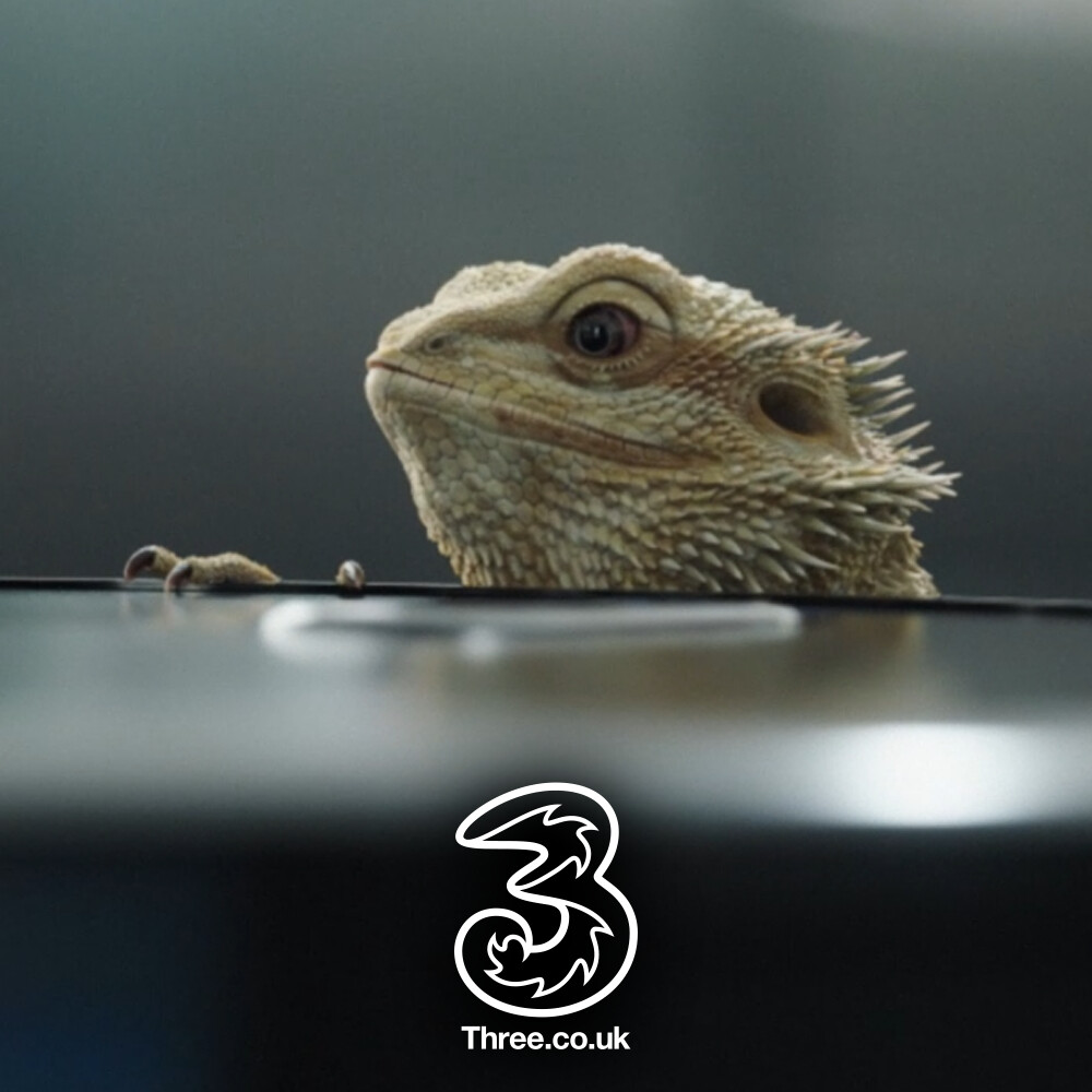 ArtStation - Jeff the Bearded Dragon | Jr CFX TD | Three Mobile Advertising