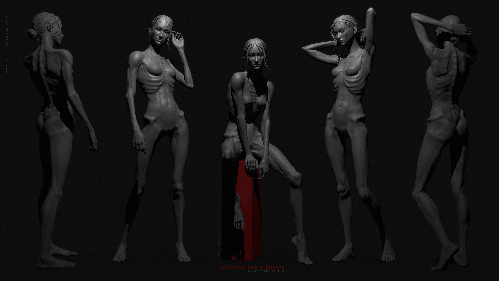 ArtStation - Female - Anatomy for Students