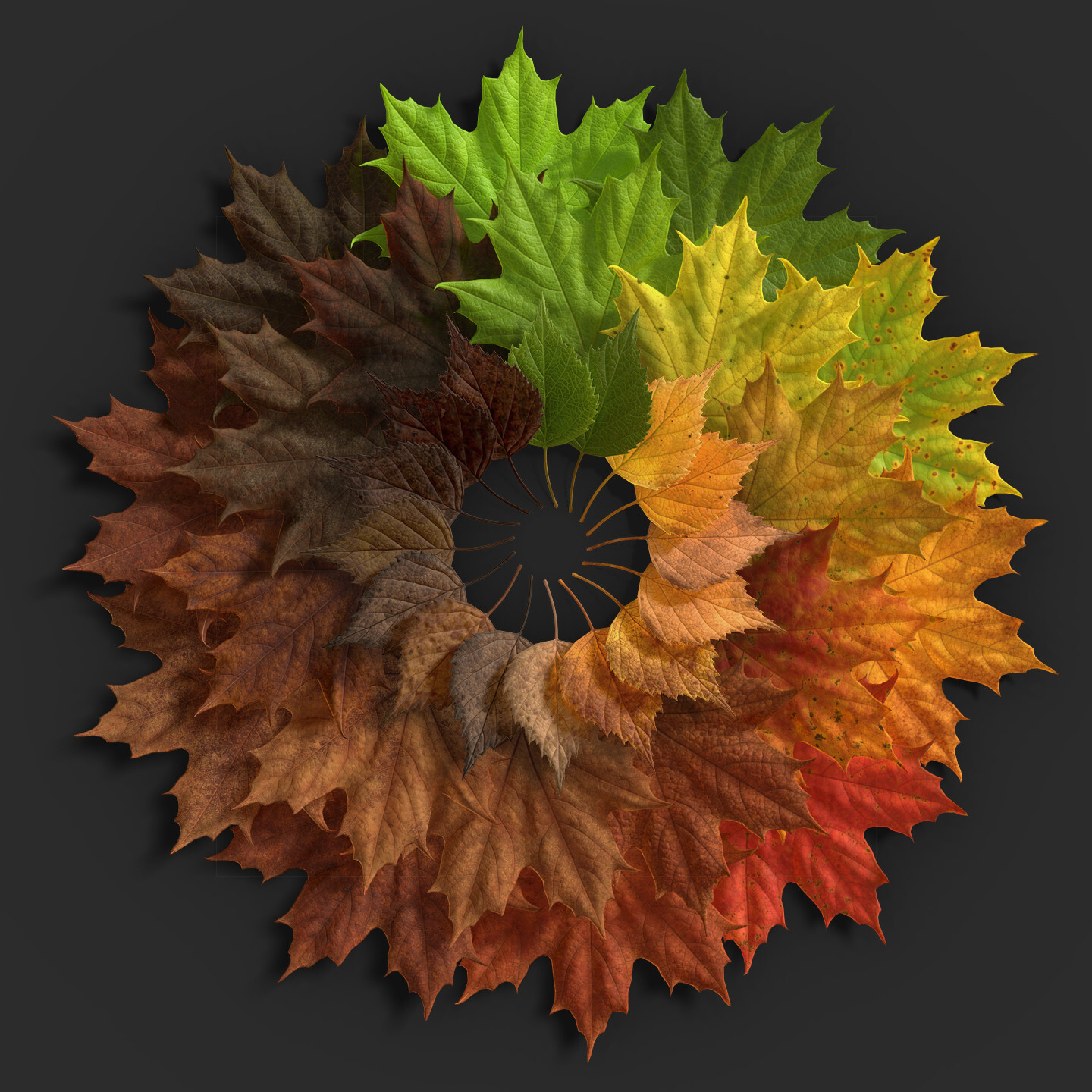 ArtStation - Autumn Leaves