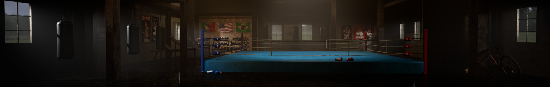ArtStation - Boxing Gym Environment