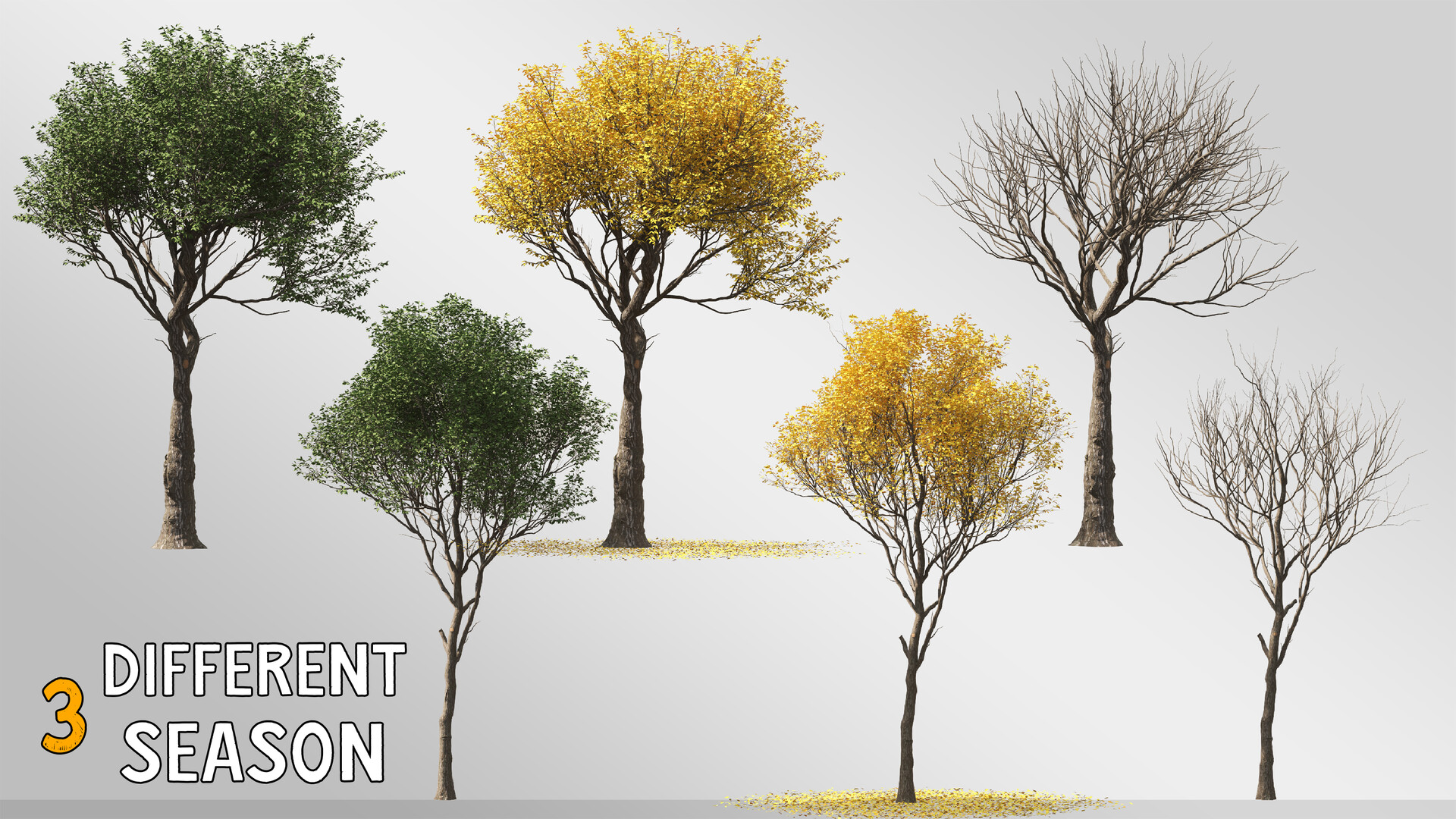 ArtStation - 6 Tree 3d models_Vol 01