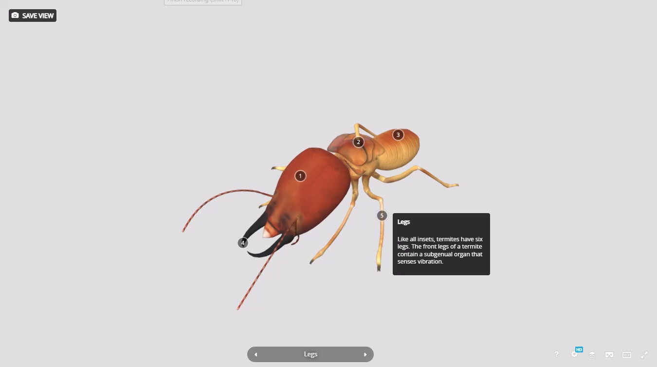 ArtStation - Termite Soldier - VR