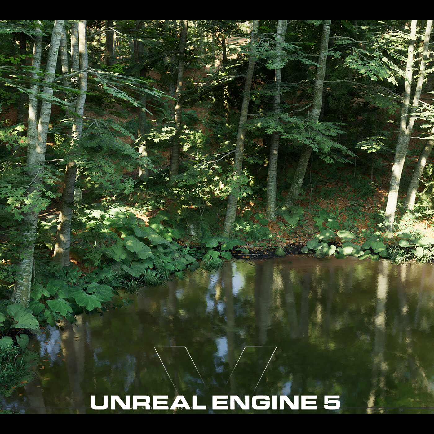 ArtStation - Beech Forest / RELEASED