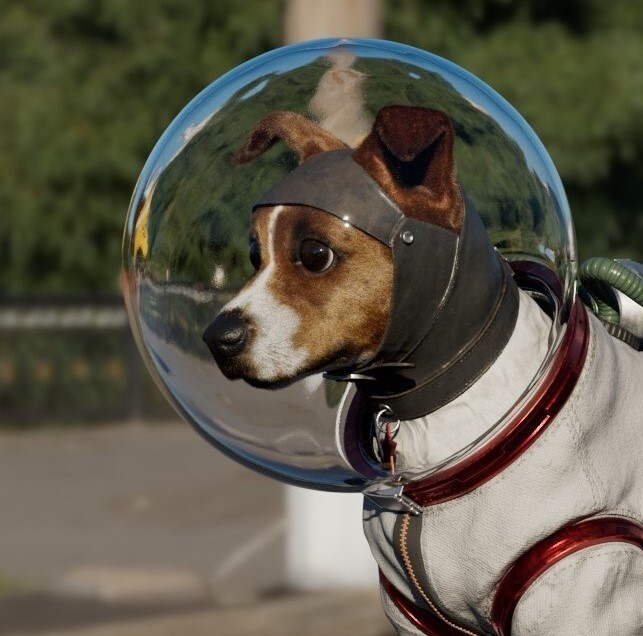 ArtStation - Space Dog Groom