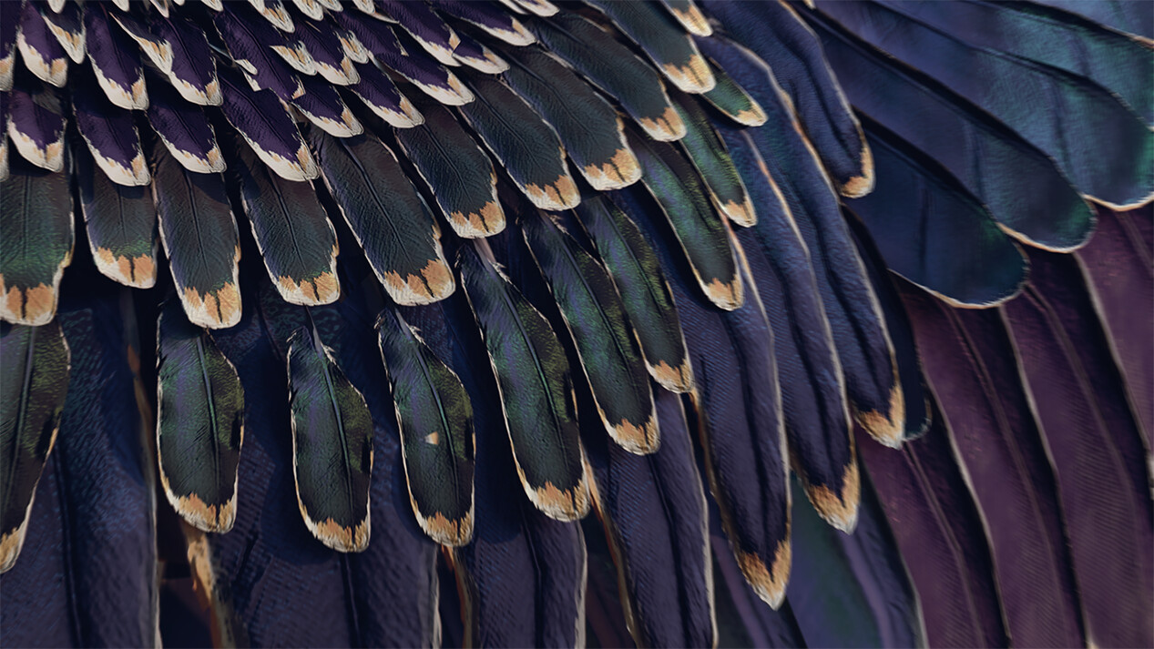 ArtStation - Starling Wing