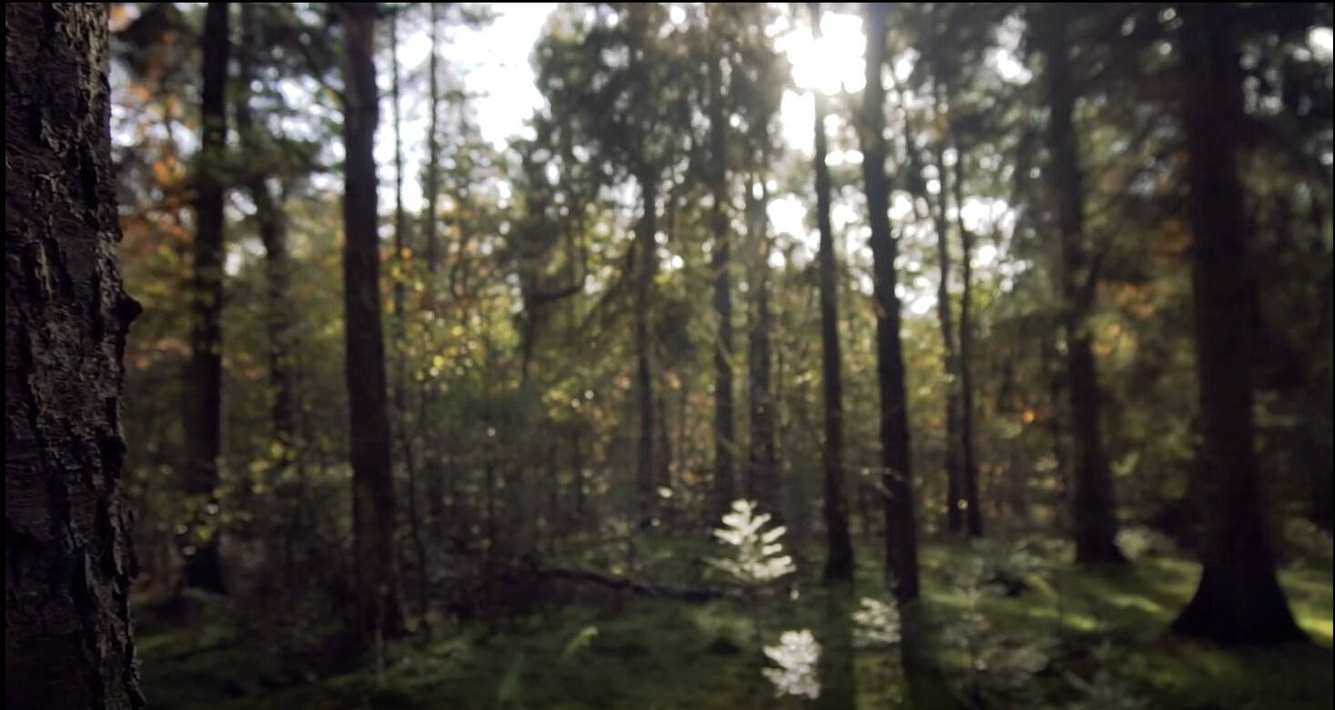 ArtStation - Engineered Hell