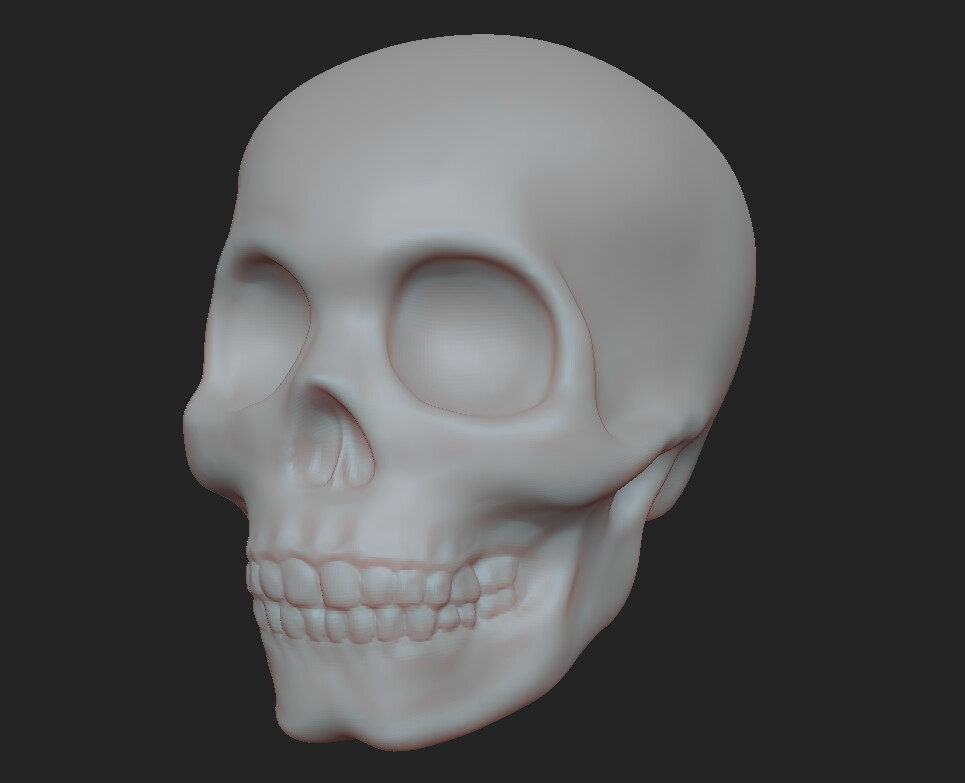 ArtStation - Stylized Skull Sculpt