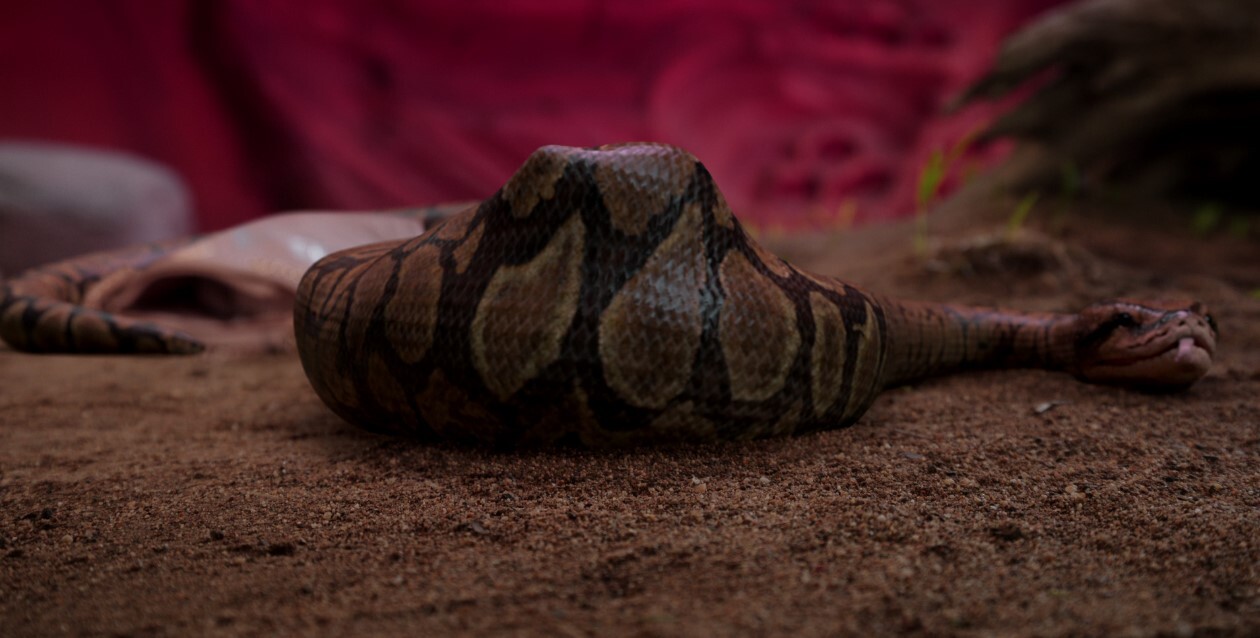 ArtStation - Animation; UberEats