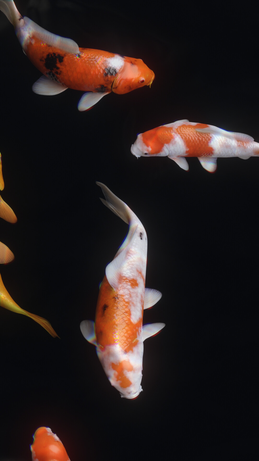 ArtStation - Procedural fish animation