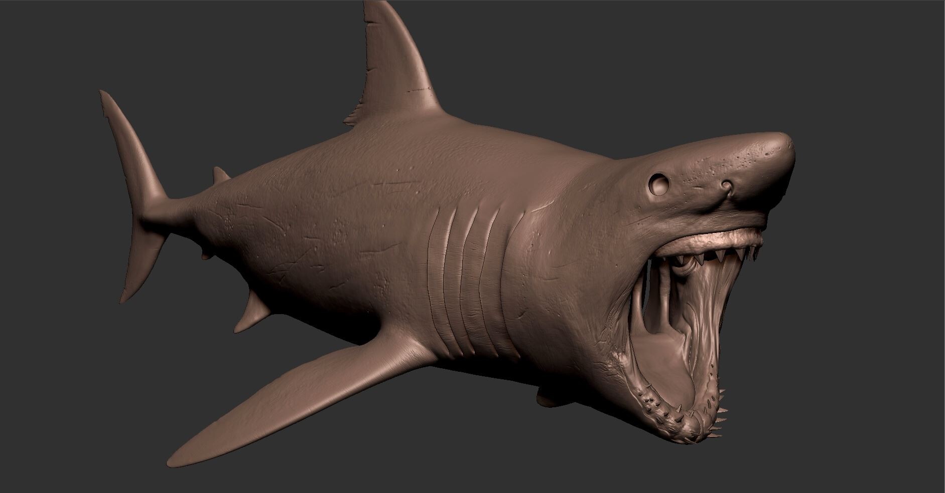 ArtStation - Shark